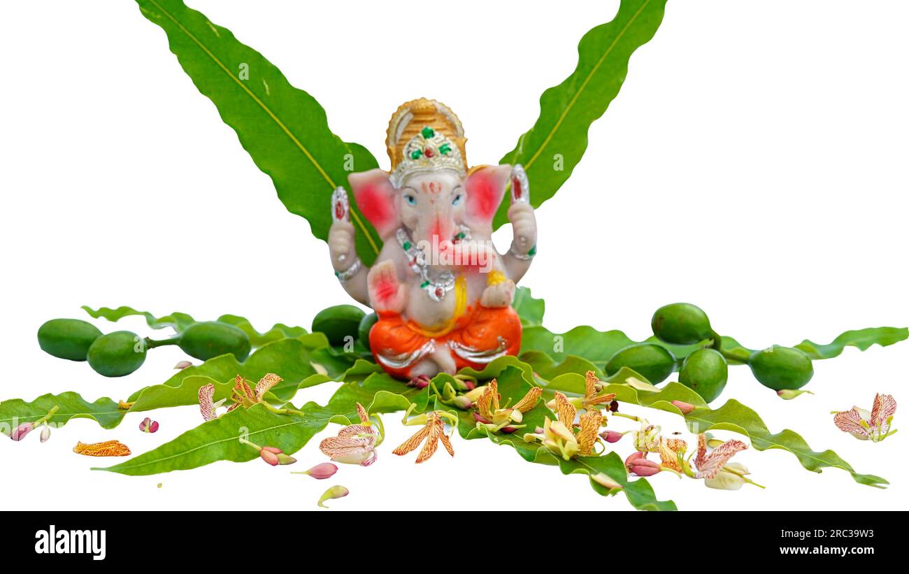 Lord ganesha idol placed on a fresh green leaf of ashoka or Saraca ...