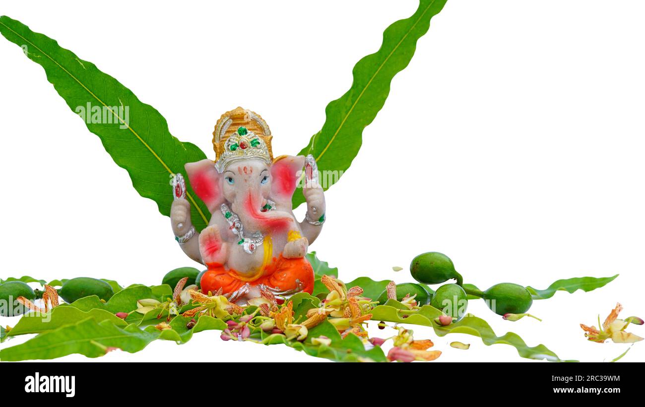 Lord ganesha idol placed on a fresh green leaf of ashoka or Saraca ...