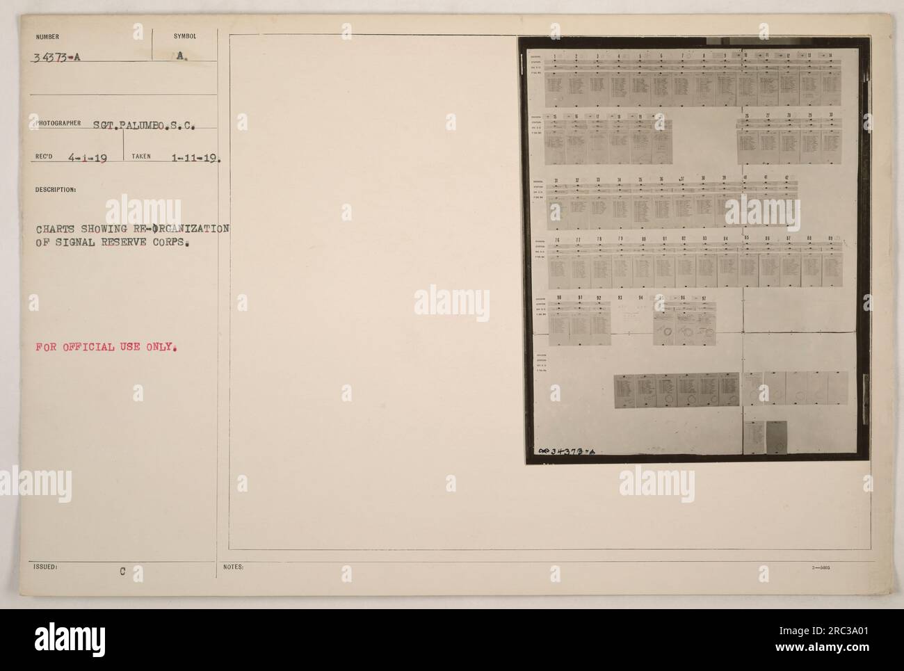 "Factual caption: The image shows charts displaying the re-organization ...