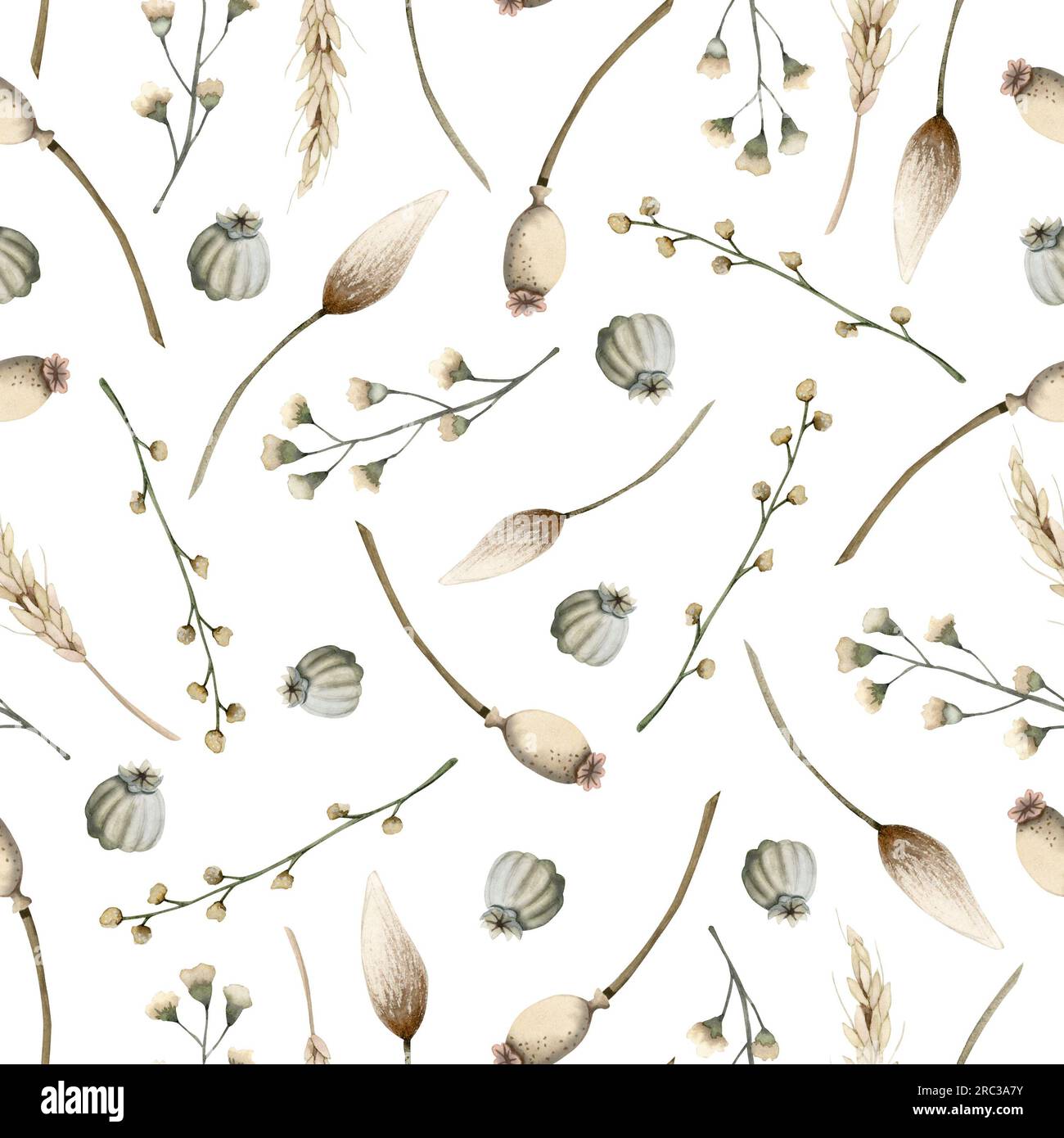 Dried field flowers ande poppy seed boxes watercolor seamless pattern ...