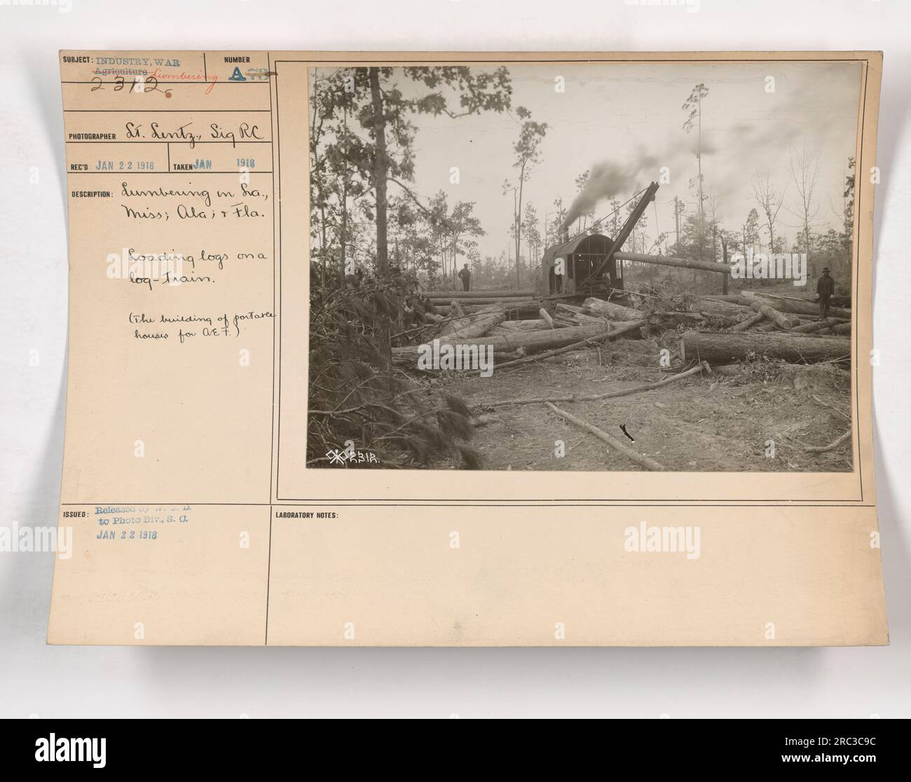 "Lumbering in Alabama, Florida, Louisiana, and Mississippi - Loading ...