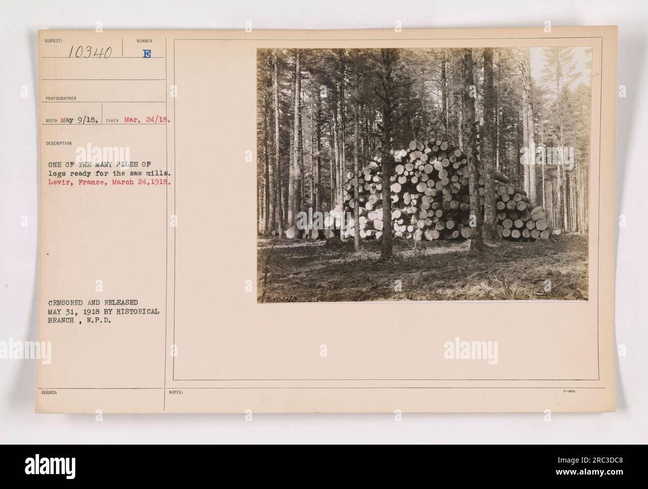 Piles of logs are seen ready for the saw mills in Levir, France during ...