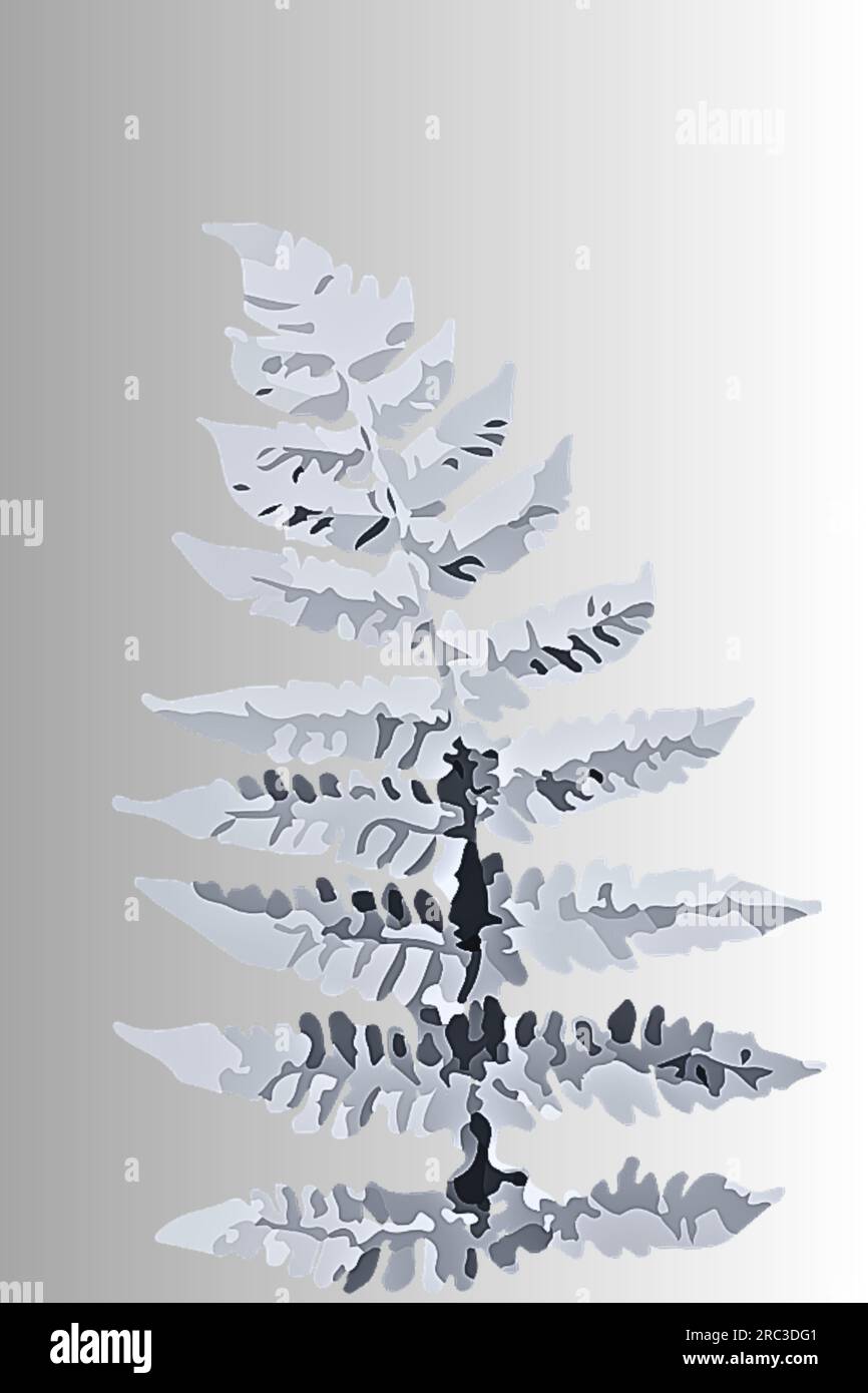 White Fern leaf background Stock Photo - Alamy