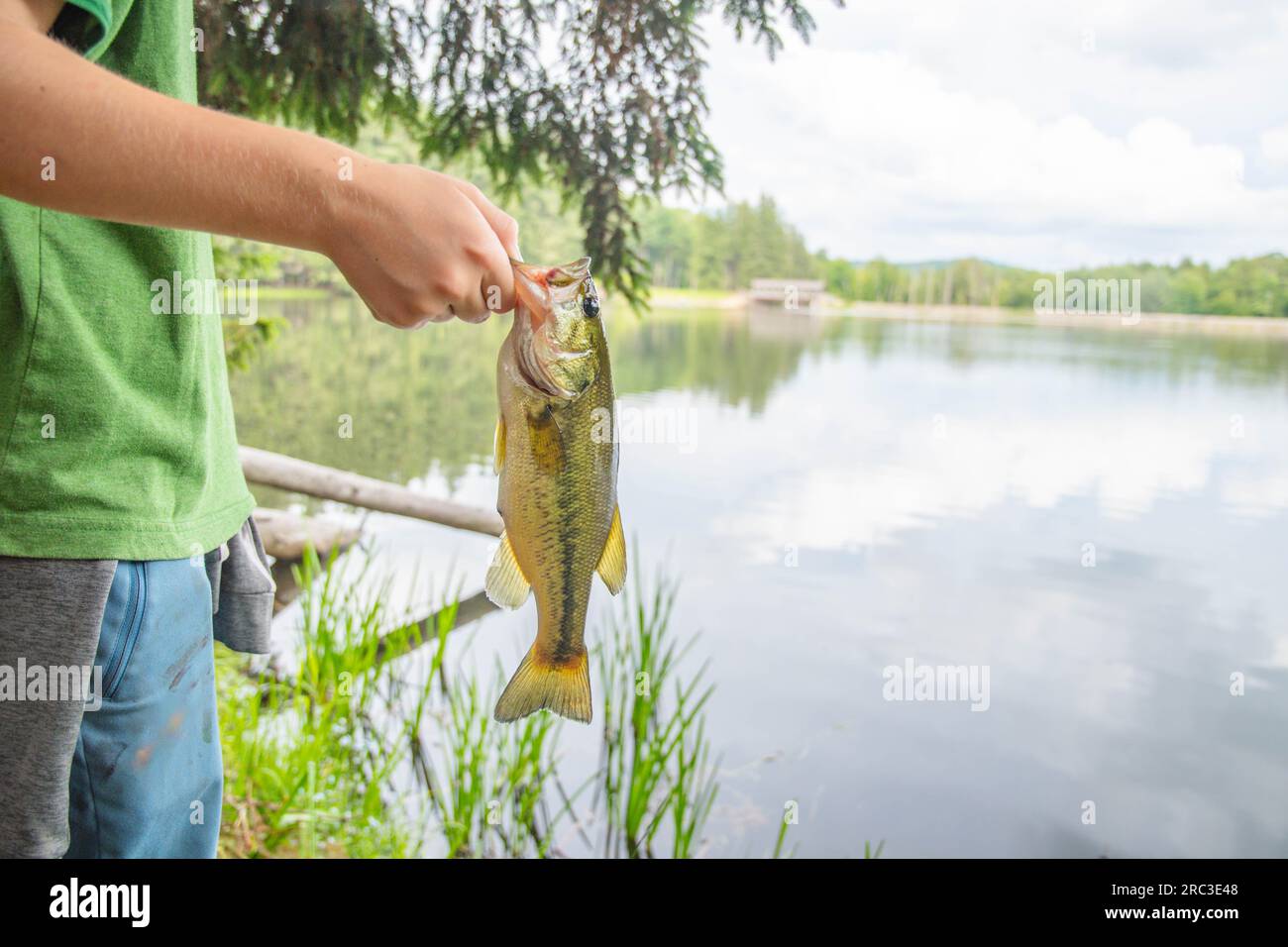 You holding a fresh summer bass, shore fishing summer activity hobby ...