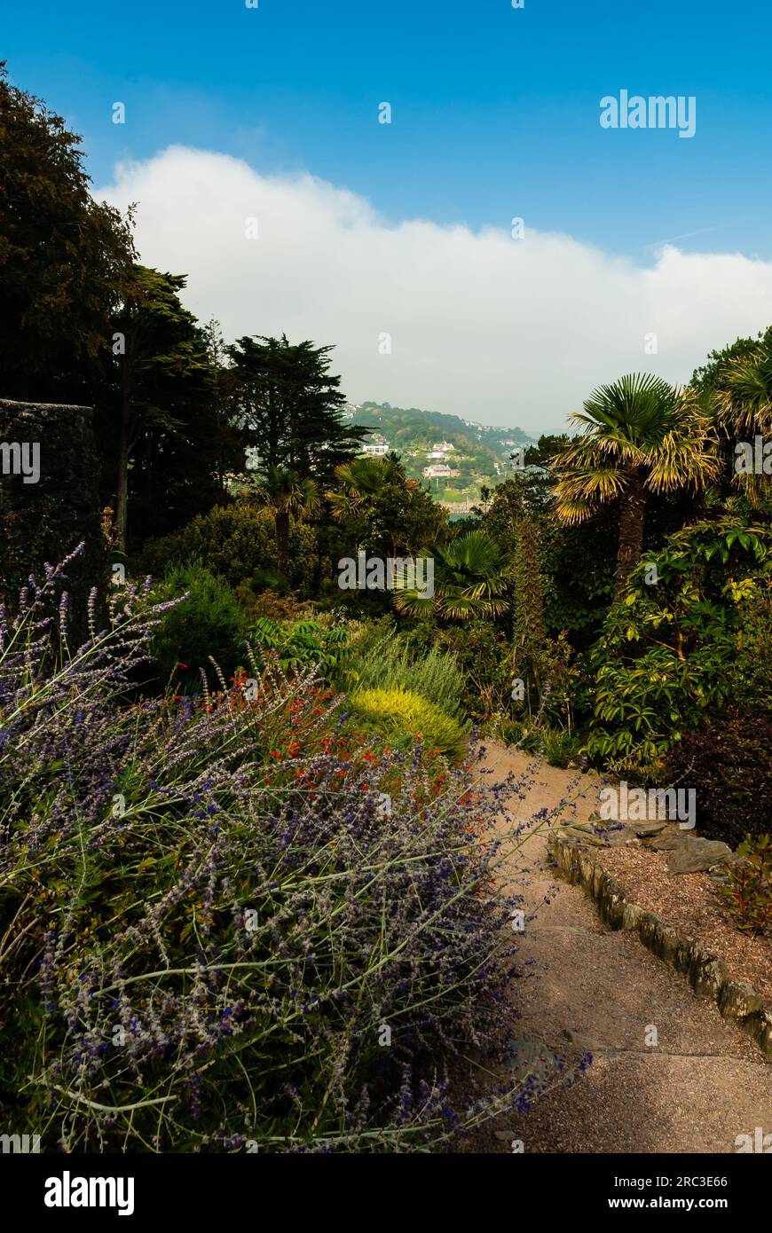 Overbeck's Garden in Devon with its exotic and rare plants Stock Photo ...