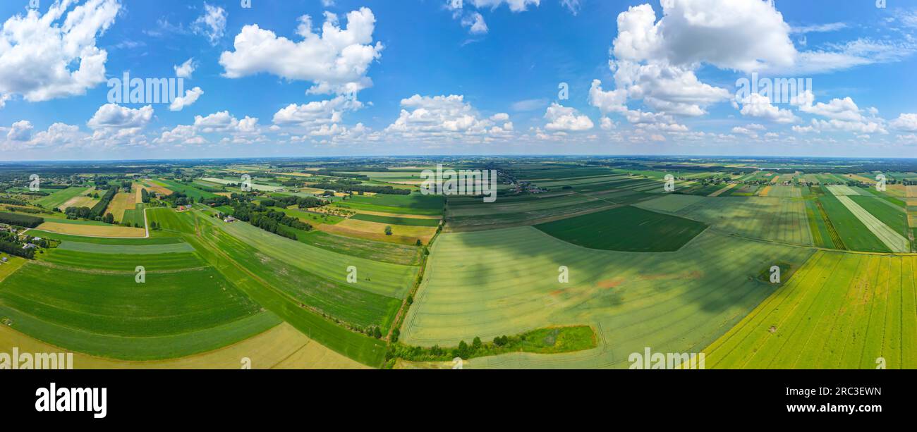 Abstract geometric shapes of agricultural parcels of different crops in ...