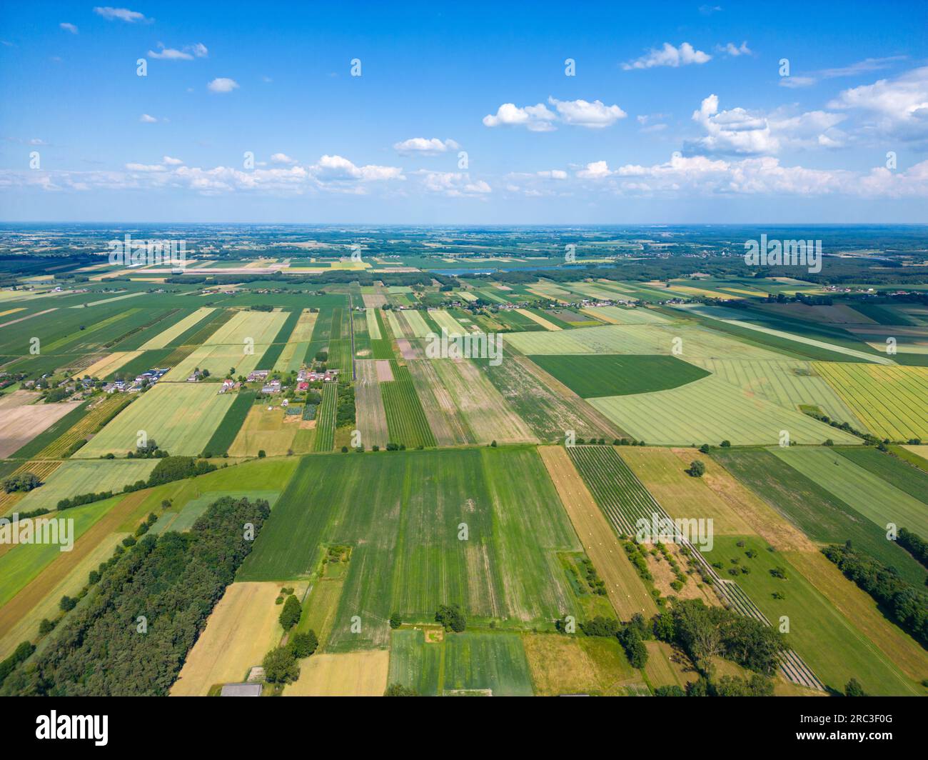 Abstract geometric shapes of agricultural parcels of different crops in ...