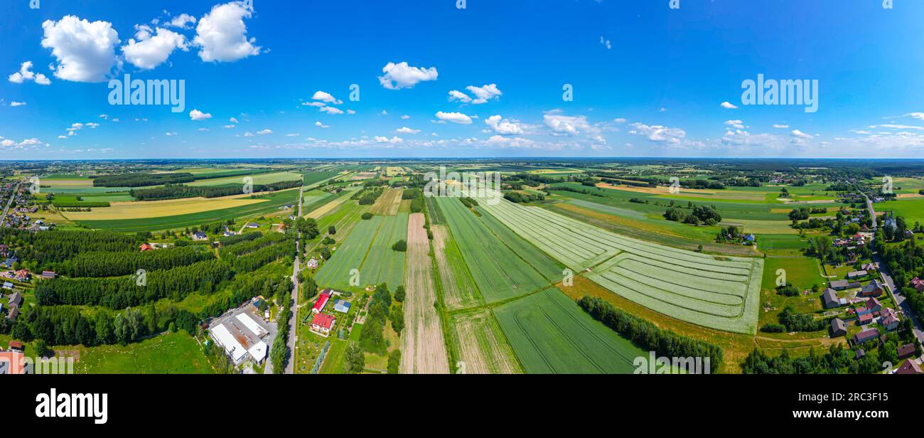 Abstract geometric shapes of agricultural parcels of different crops in ...