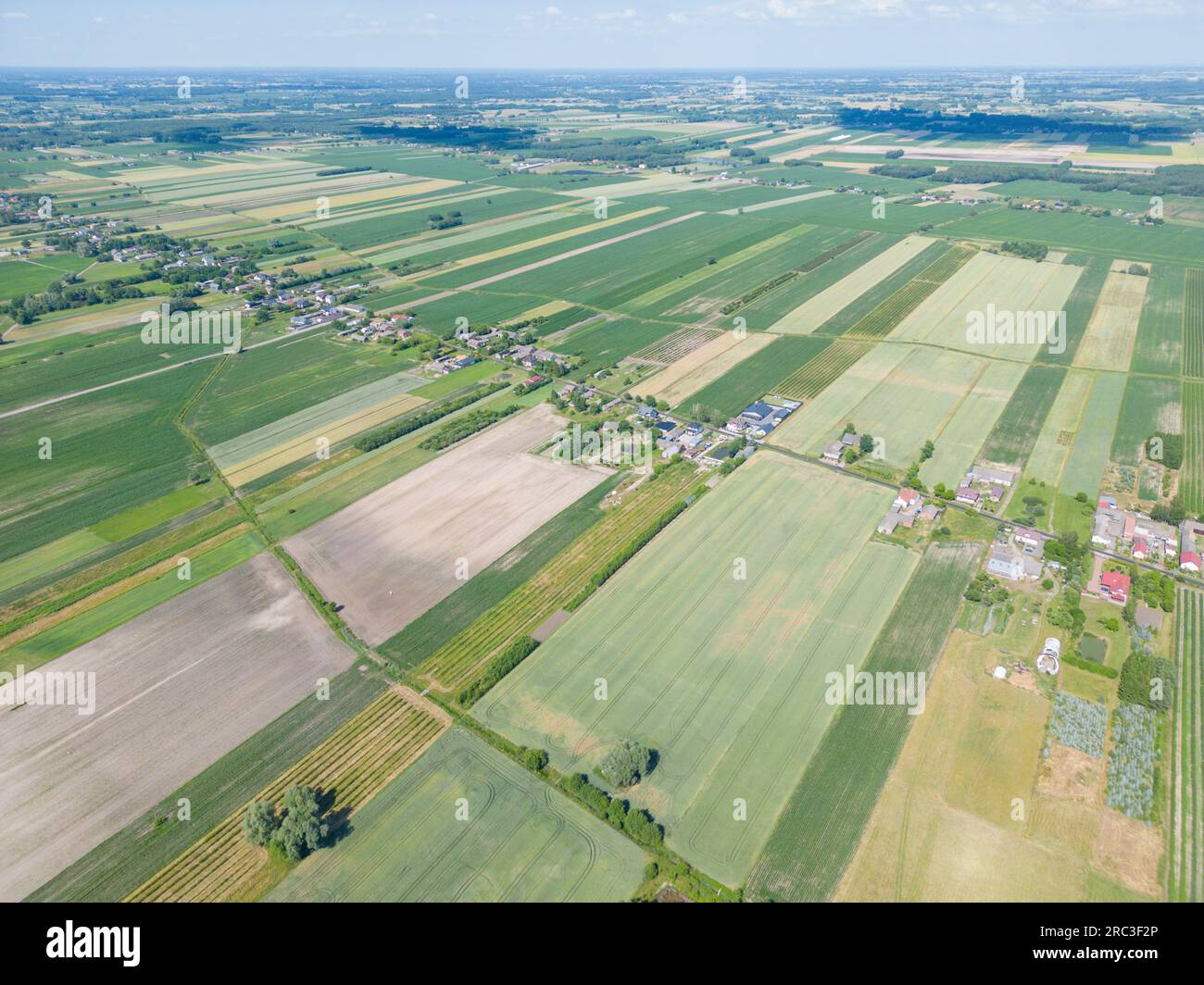 Abstract geometric shapes of agricultural parcels of different crops in ...