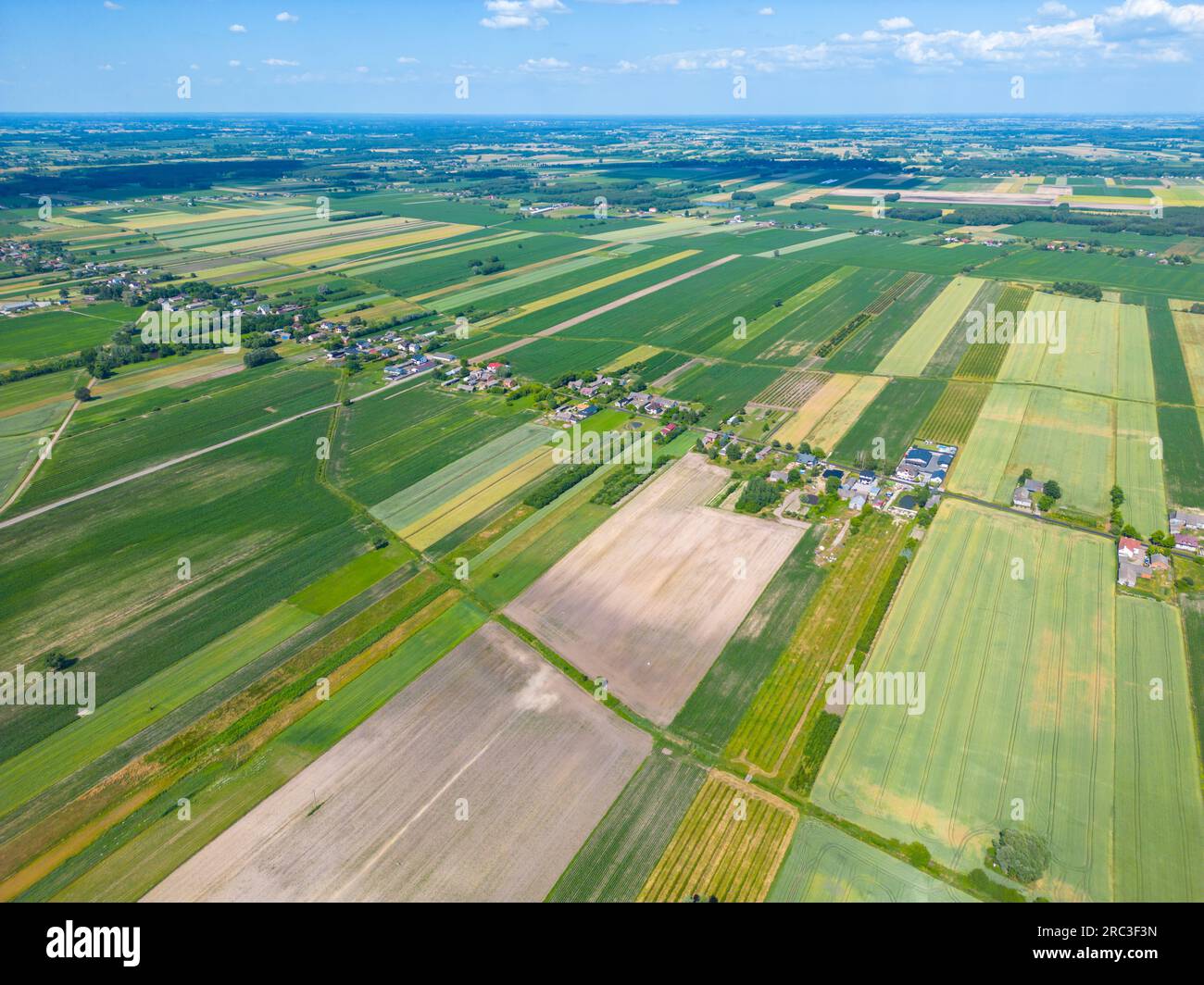 Abstract geometric shapes of agricultural parcels of different crops in ...
