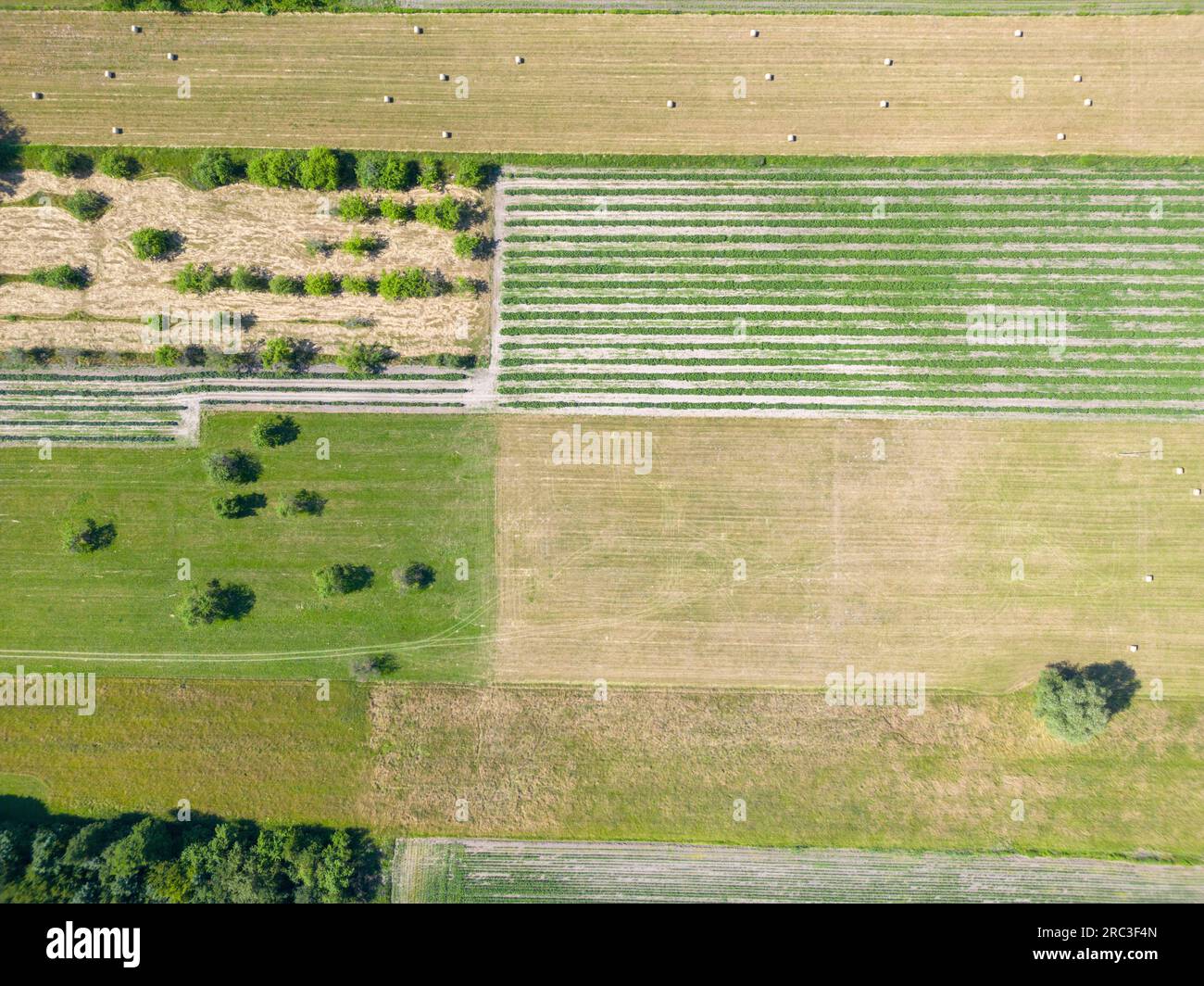 Abstract geometric shapes of agricultural parcels of different crops in ...