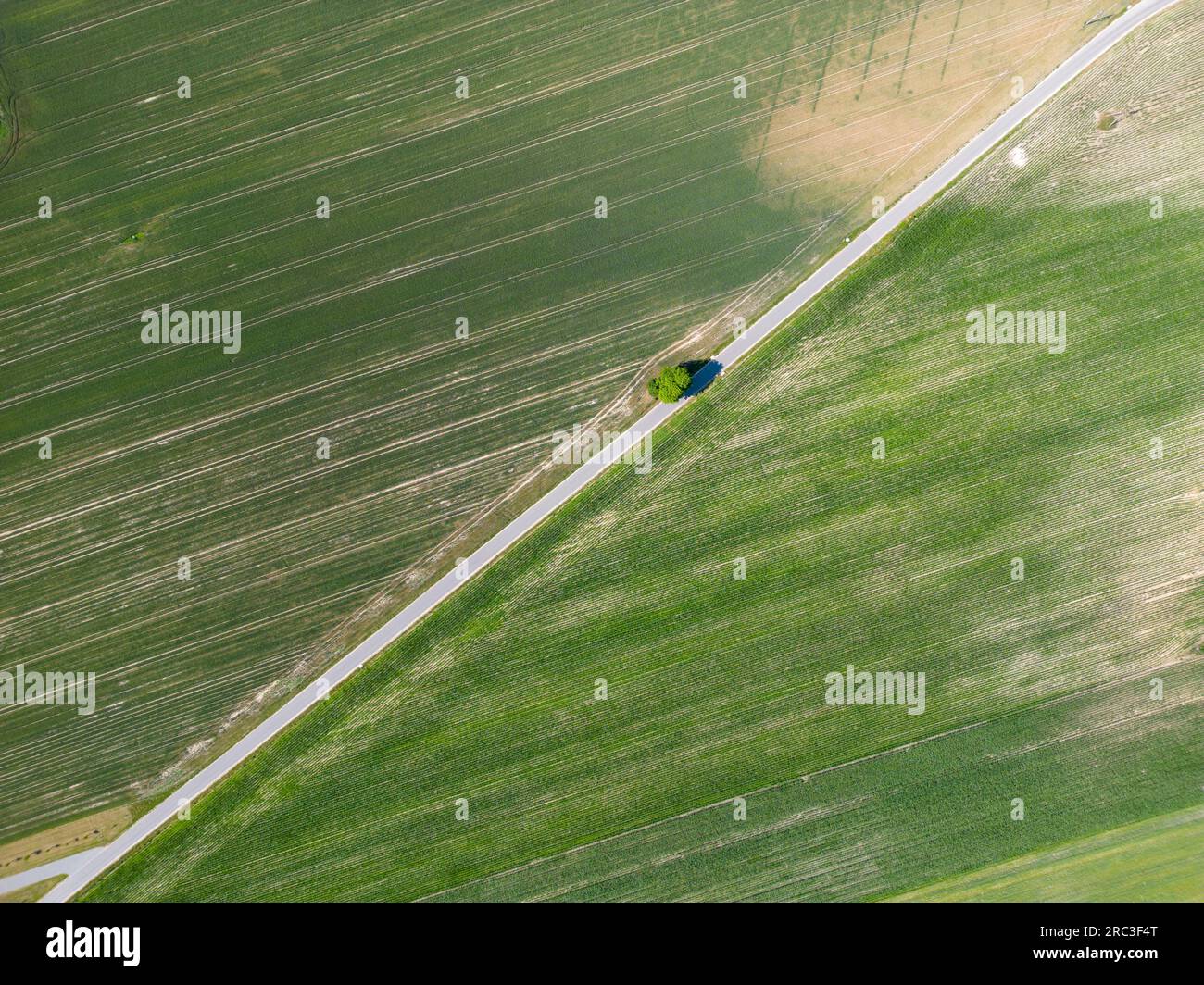 Abstract geometric shapes of agricultural parcels of different crops in ...