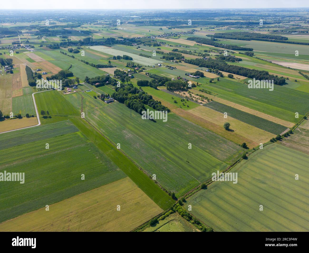 Abstract geometric shapes of agricultural parcels of different crops in ...