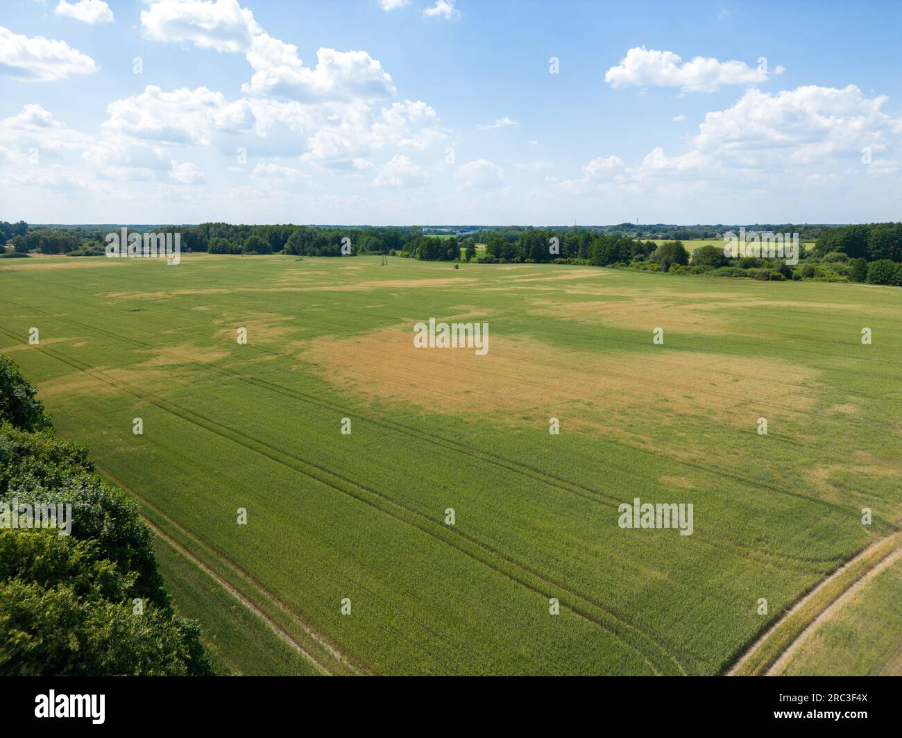 Abstract geometric shapes of agricultural parcels of different crops in ...