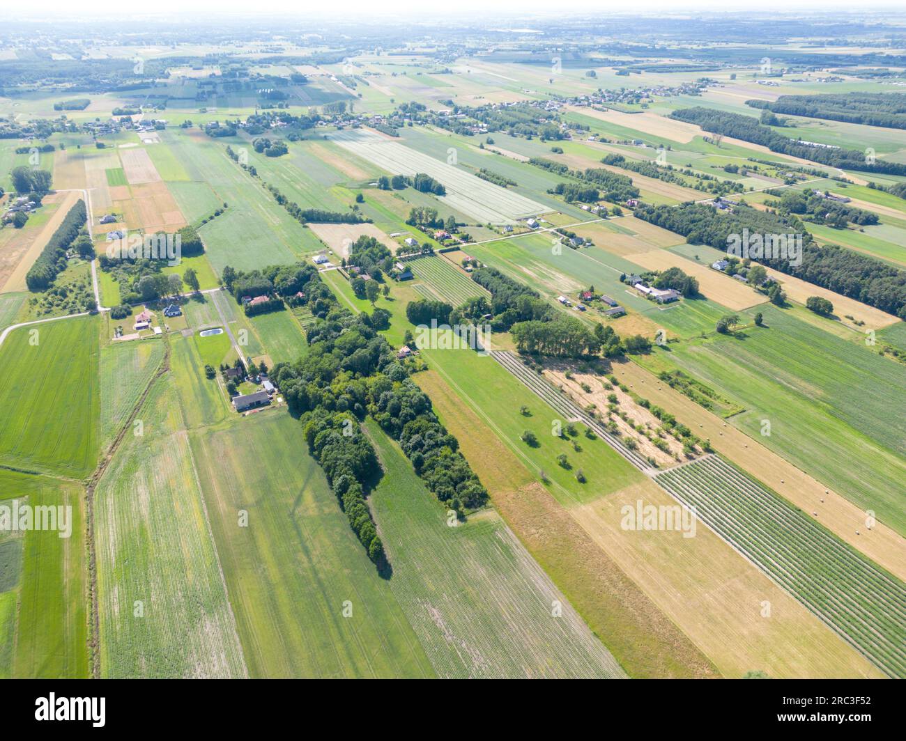 Abstract geometric shapes of agricultural parcels of different crops in ...