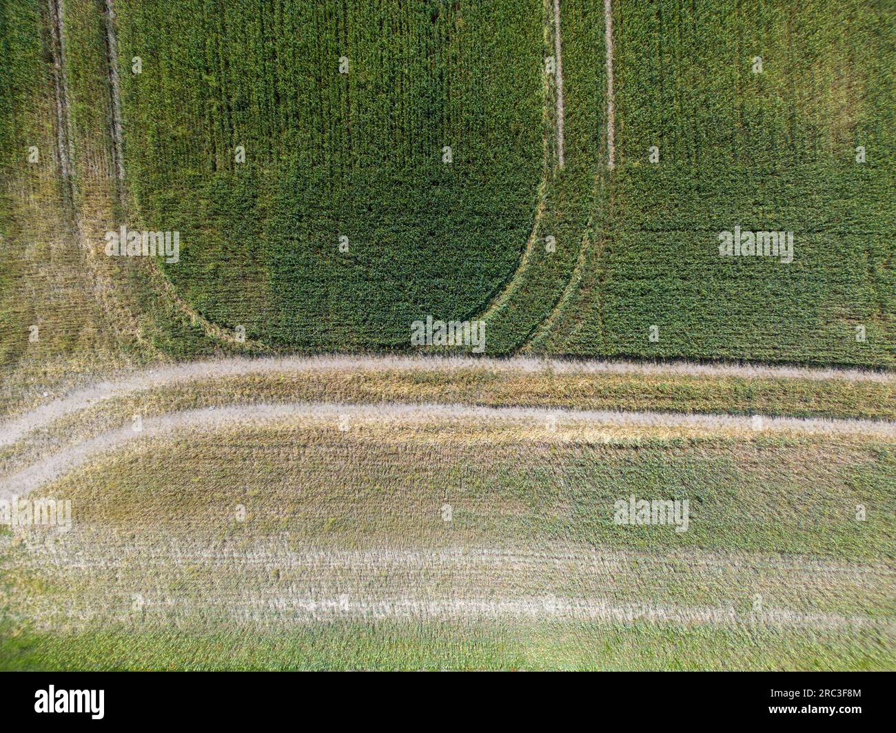 Abstract geometric shapes of agricultural parcels of different crops in ...