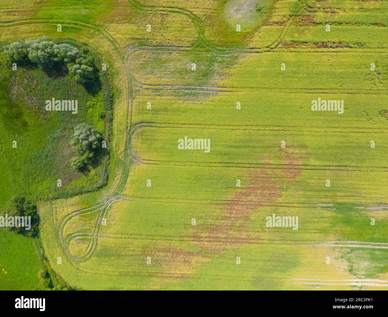 Abstract geometric shapes of agricultural parcels of different crops in ...