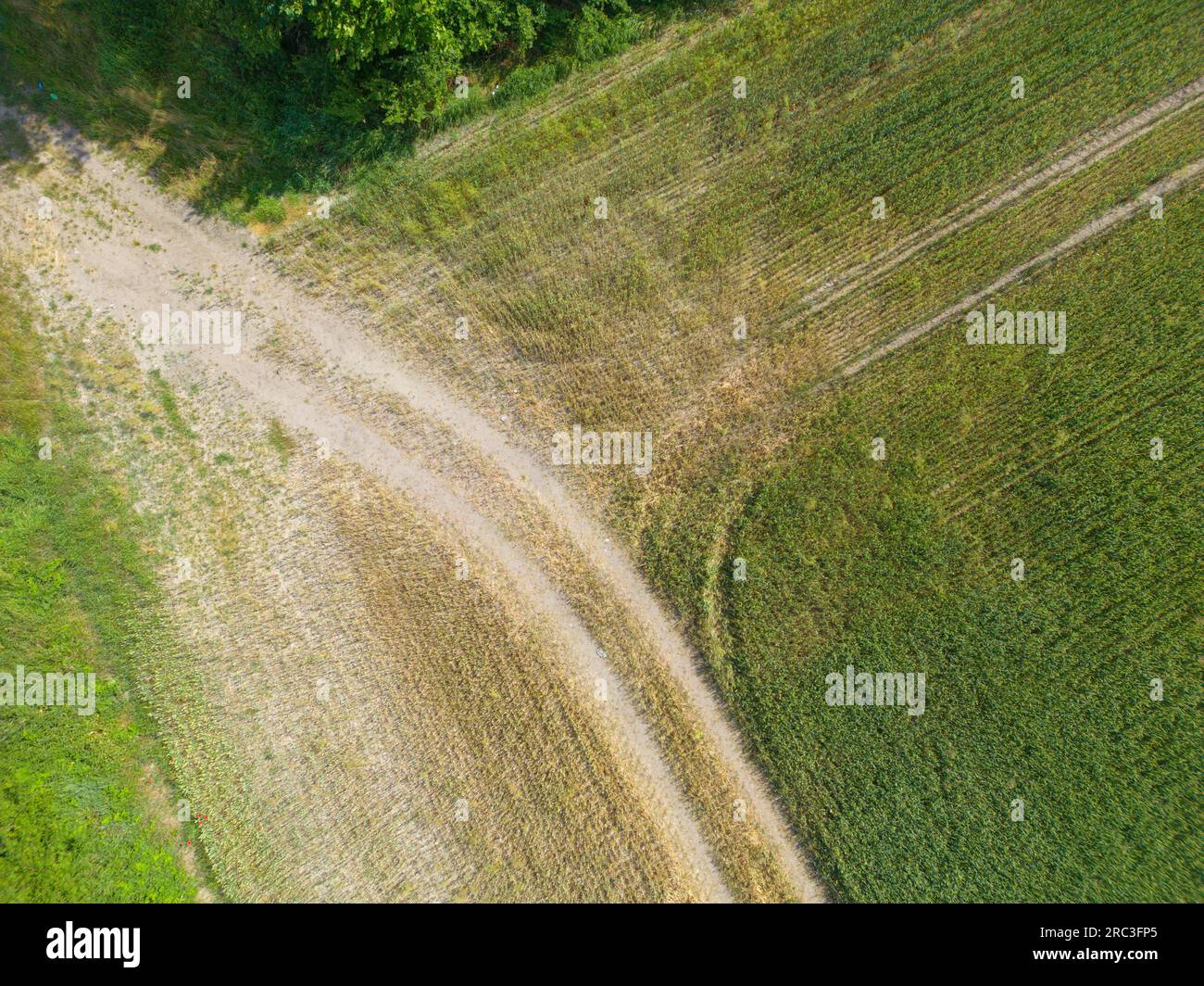 Vertical stripes of agricultural parcels of different crops. Aerial ...
