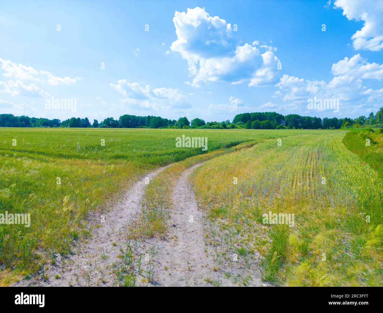 Vertical stripes of agricultural parcels of different crops. Aerial ...