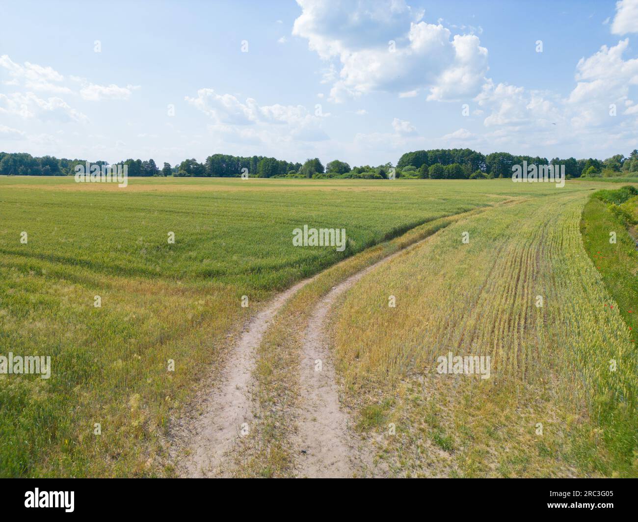 Vertical stripes of agricultural parcels of different crops. Aerial ...