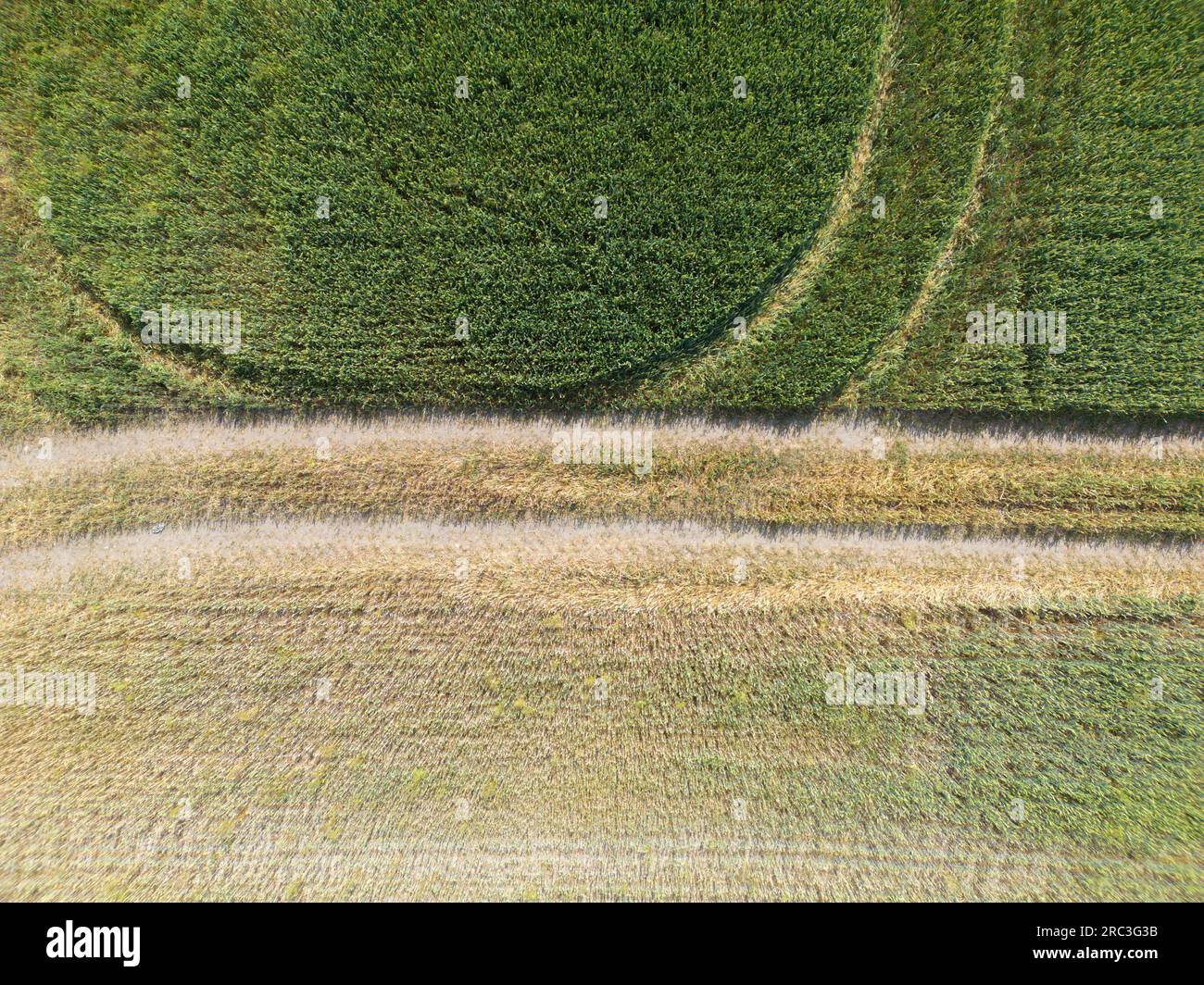 Vertical stripes of agricultural parcels of different crops. Aerial ...