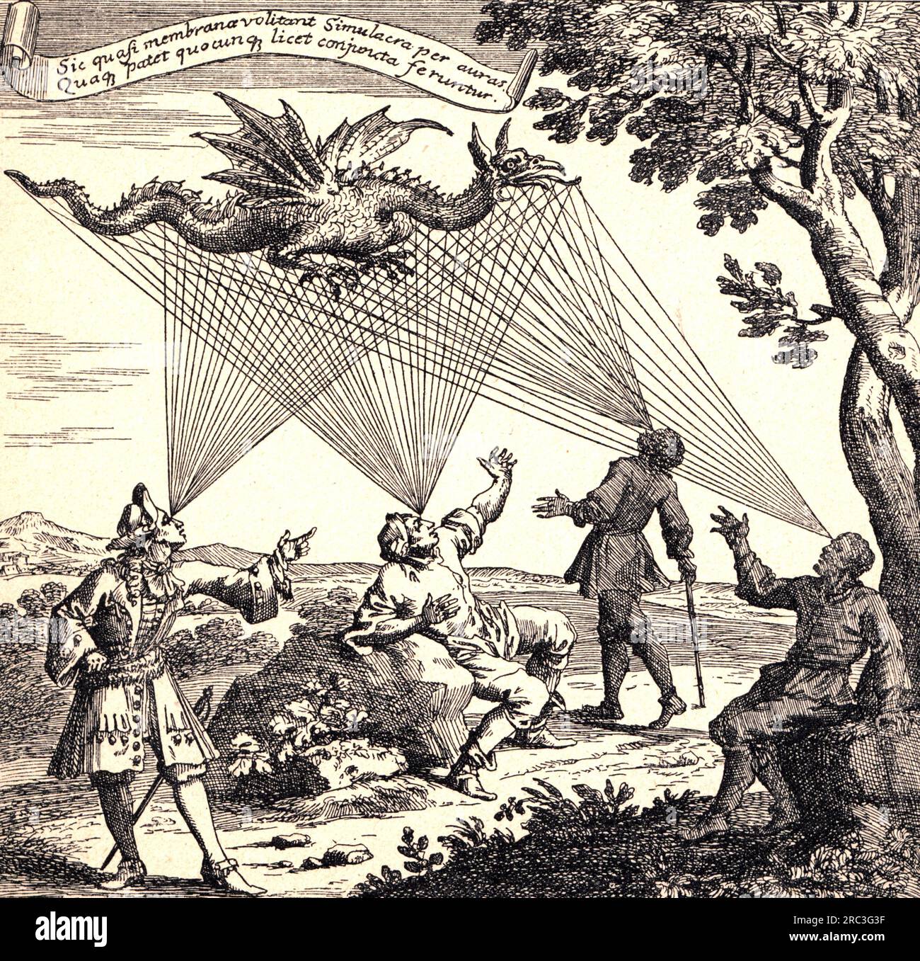 science, physics, optics, dragon seen under different visual angles ...