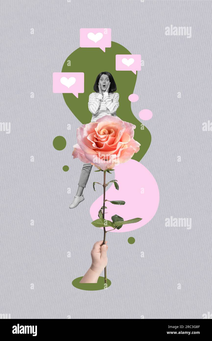 Vertical creative illustration photo collage of impressed amazed woman ...