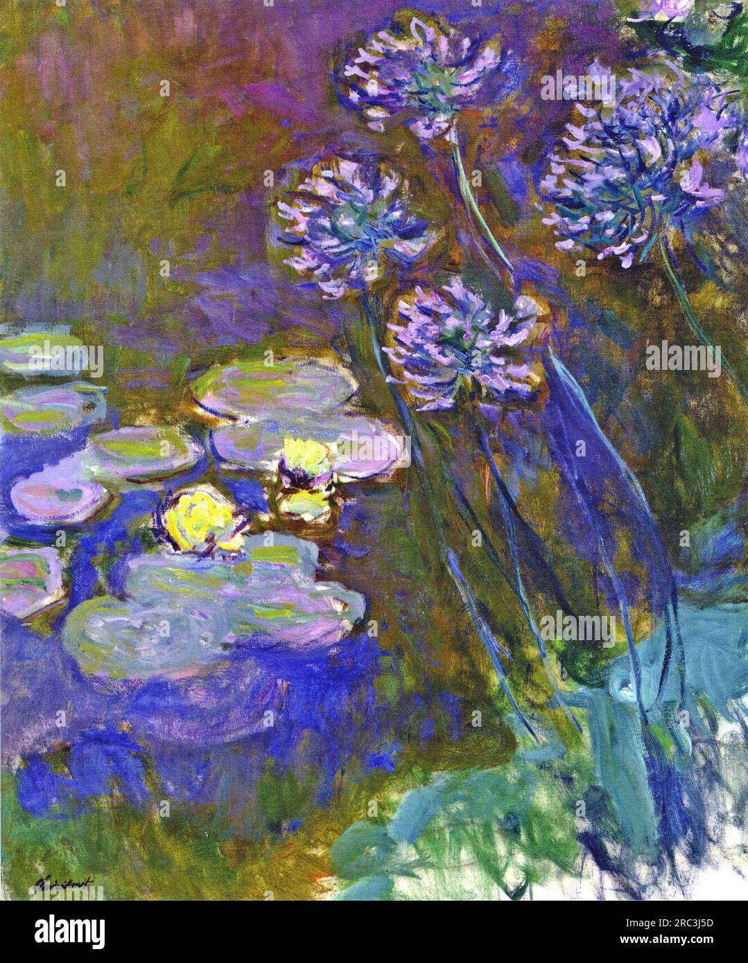Water Lilies and Agapanthus 1917 by Claude Monet Stock Photo - Alamy