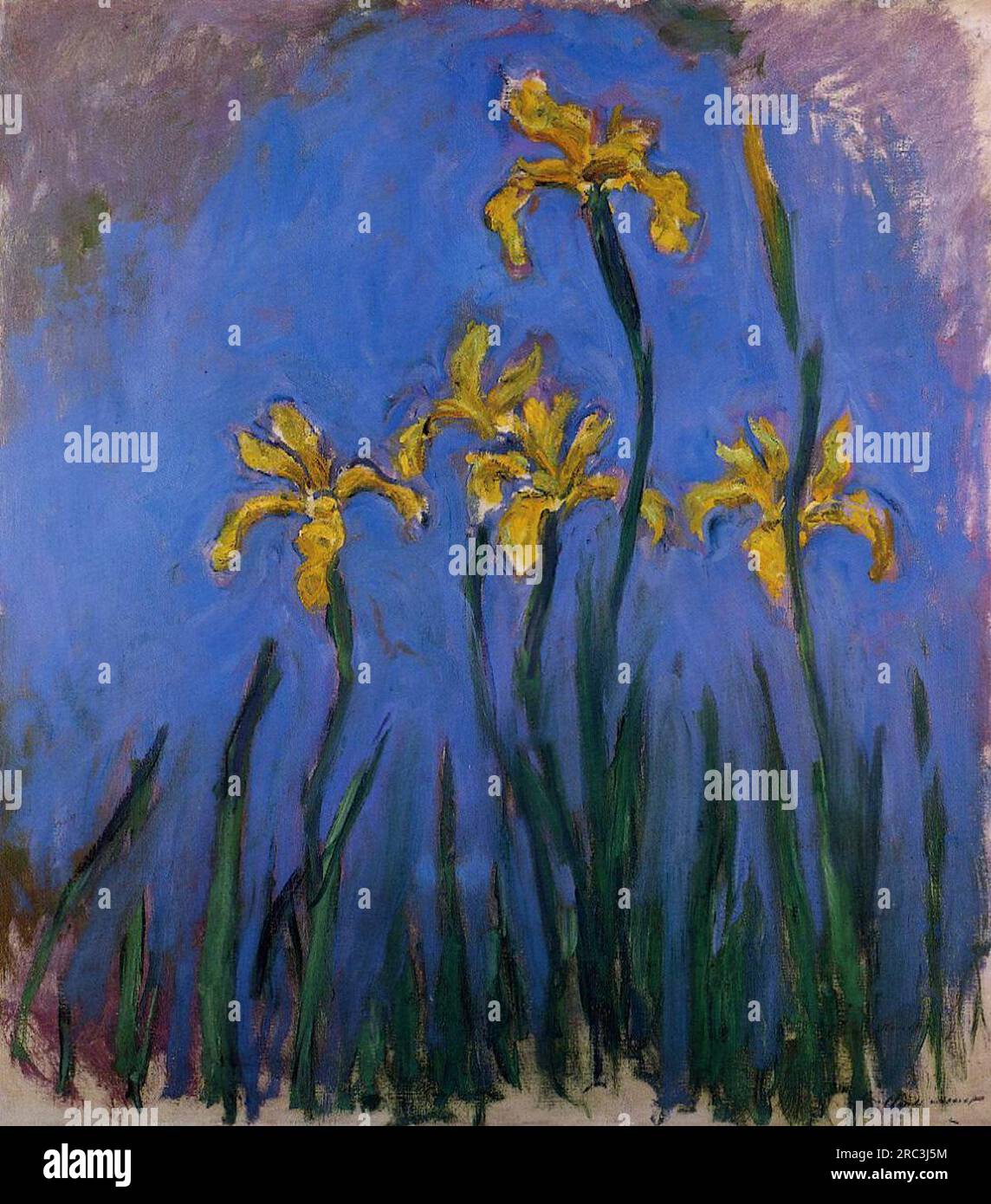 Yellow Irises 1917 by Claude Monet Stock Photo - Alamy