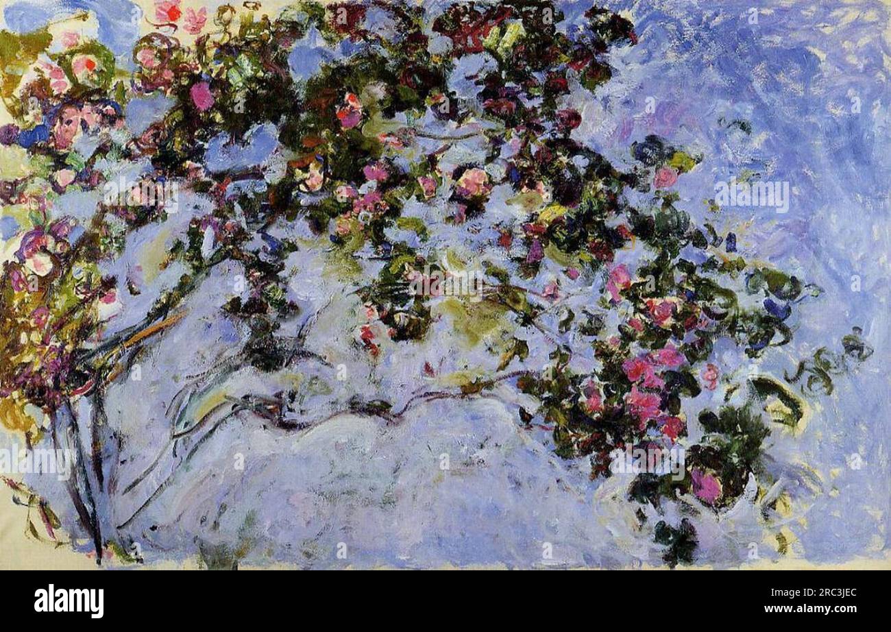 The Rose Bush 1926 by Claude Monet Stock Photo - Alamy