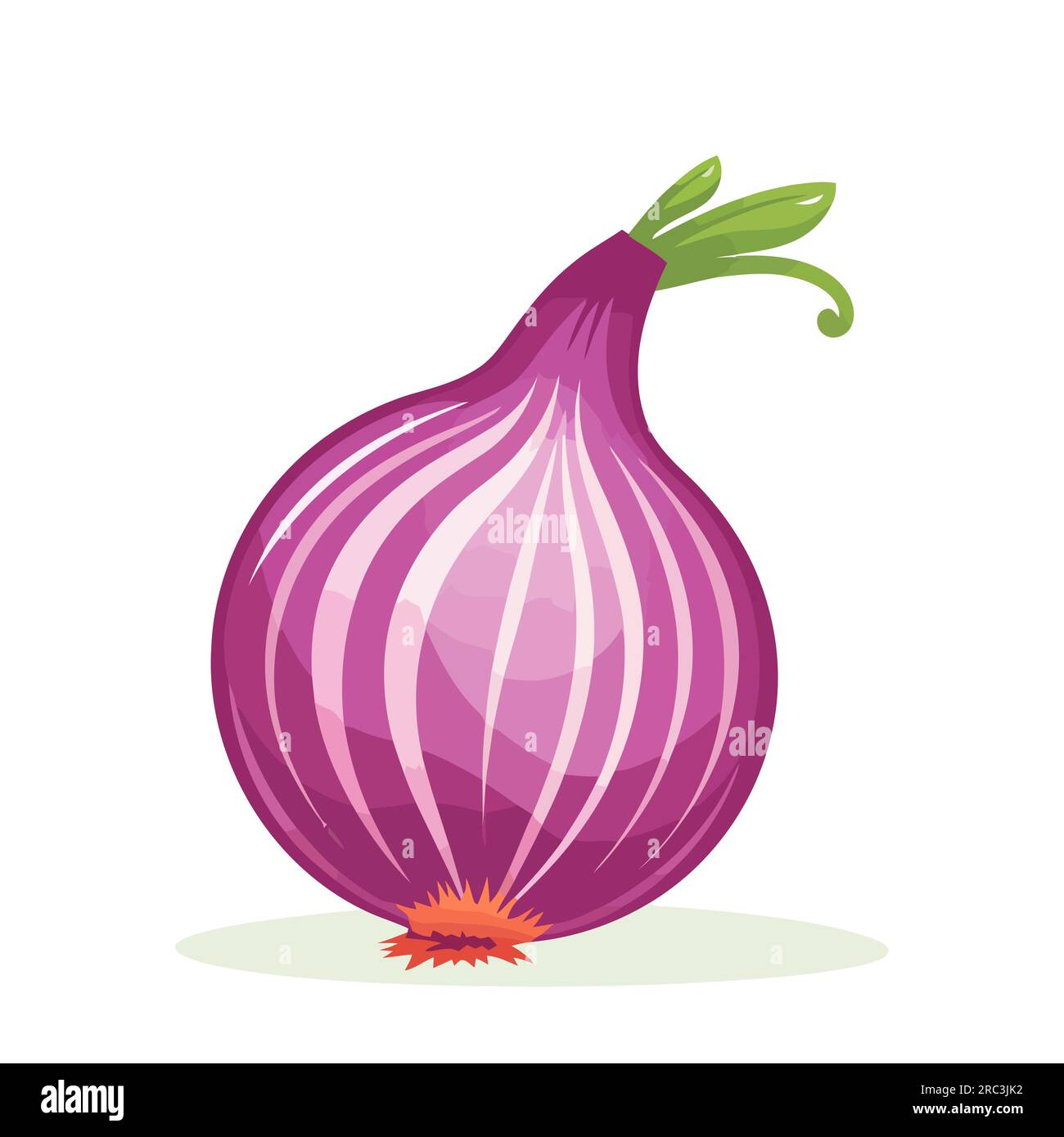 Onion icon. Onion image isolated. Onion sign in flat design. Vector ...