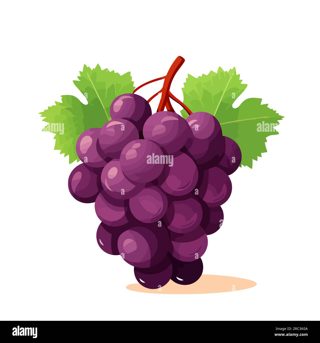 Grape icon isolated. Bunch of wine grapes with leaf. Grape image in ...