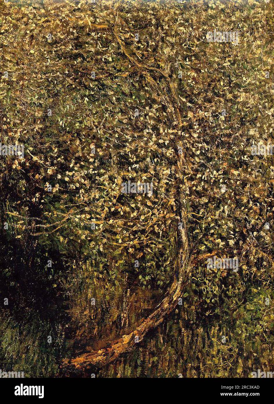 Claude monet trees in blossom hi-res stock photography and images - Alamy