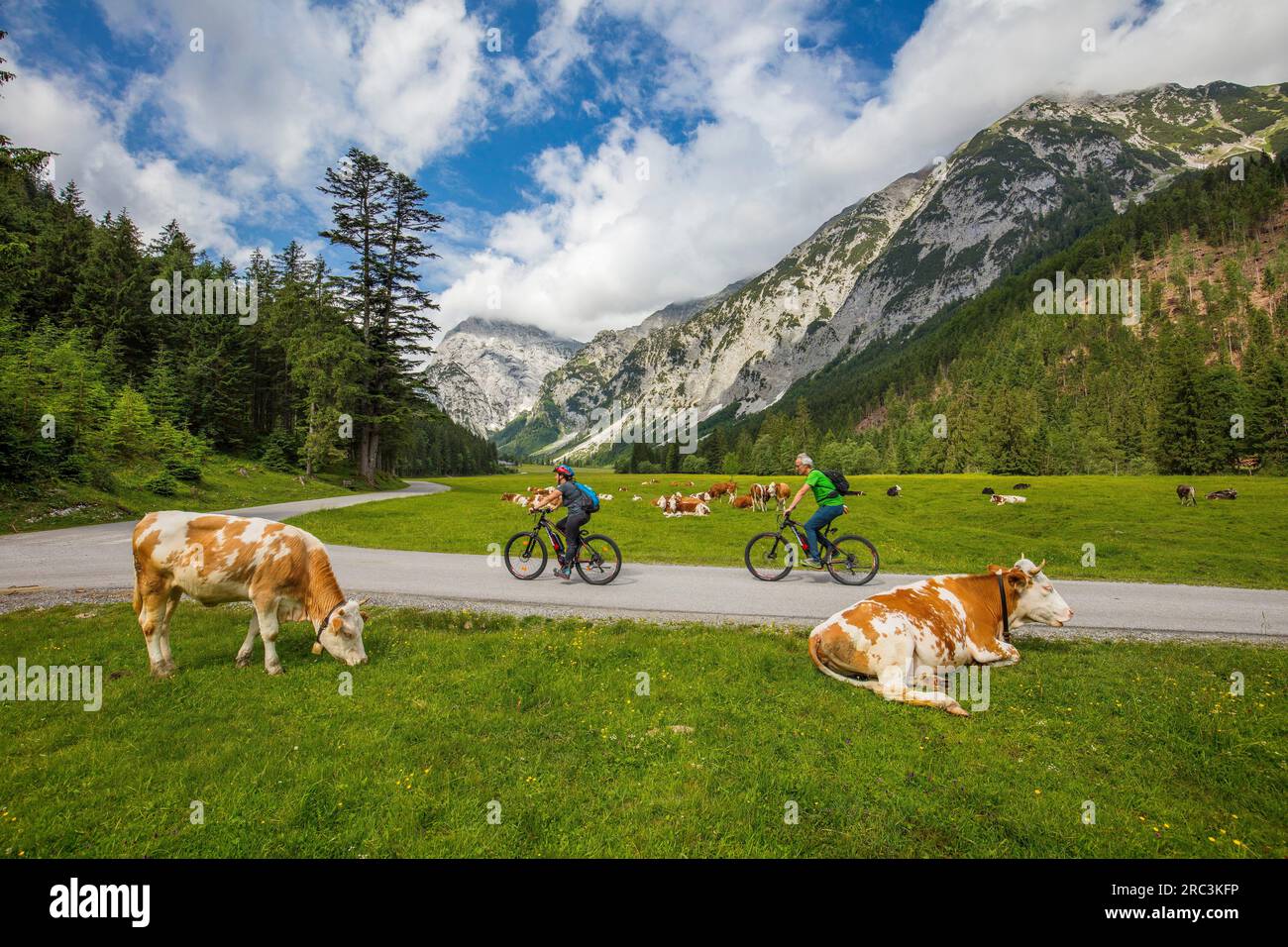 Alpine park karwendel hi-res stock photography and images - Alamy