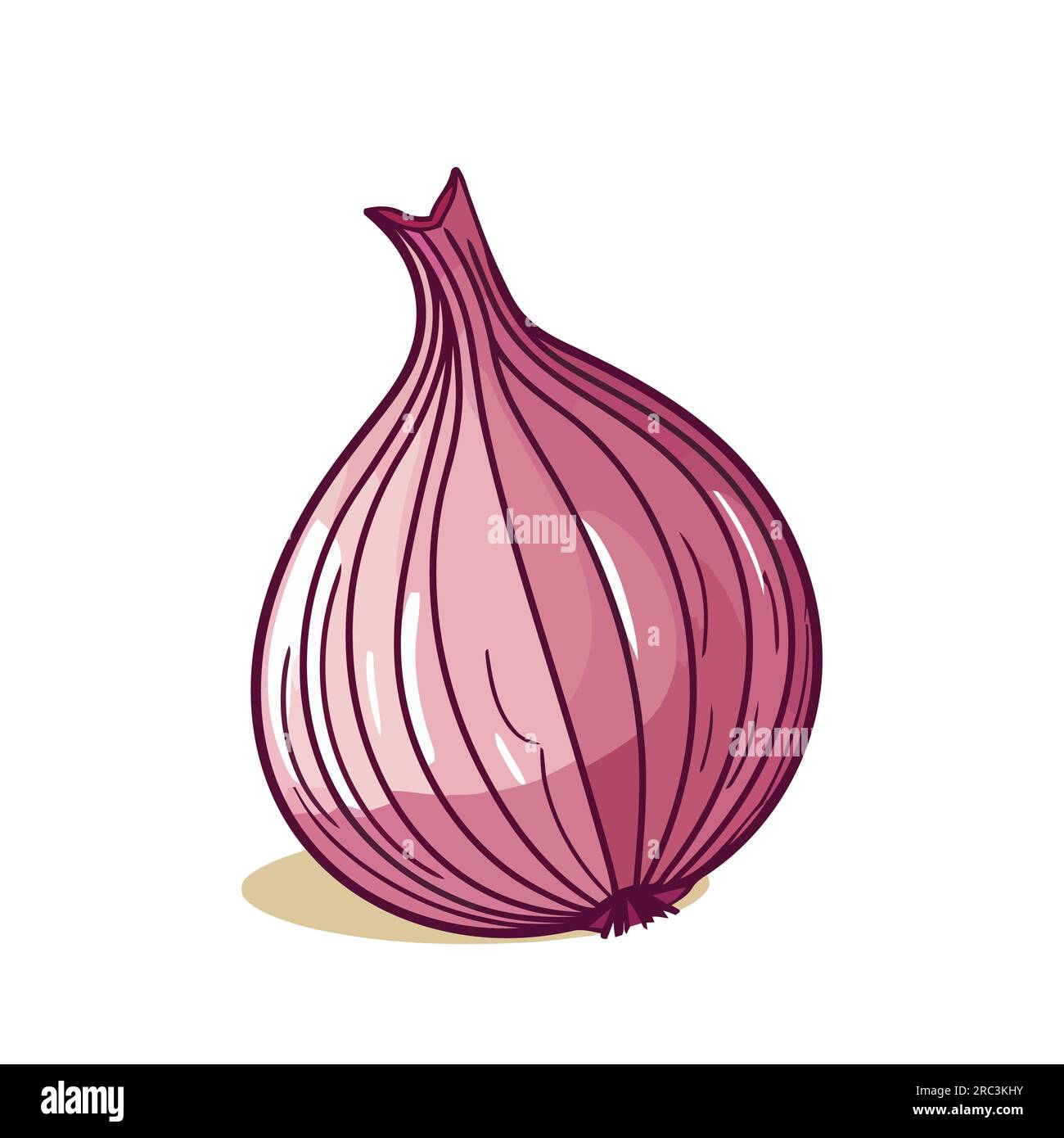 Onion icon. Onion image isolated. Onion sign in flat design. Vector ...