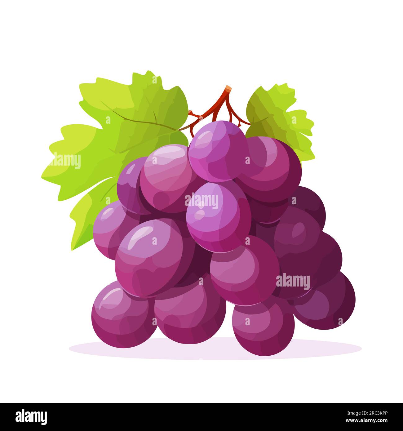 Grape icon isolated. Bunch of wine grapes with leaf. Grape image in ...