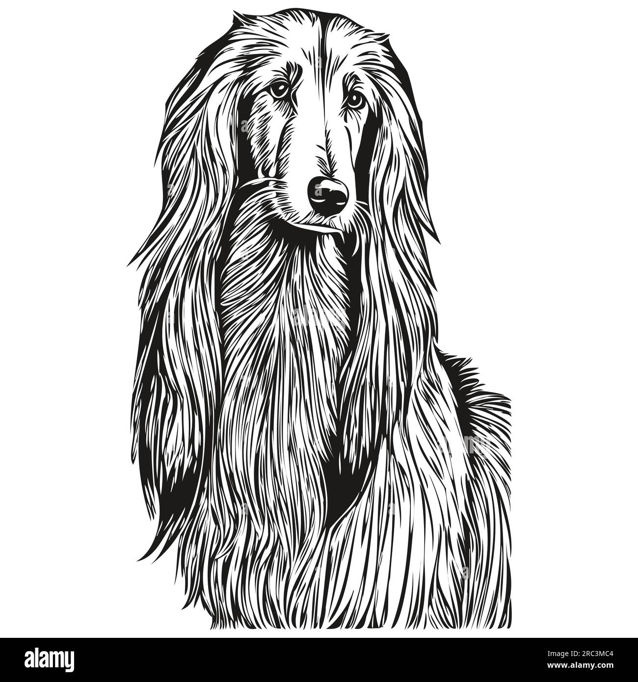 Hound drawing hi-res stock photography and images - Alamy