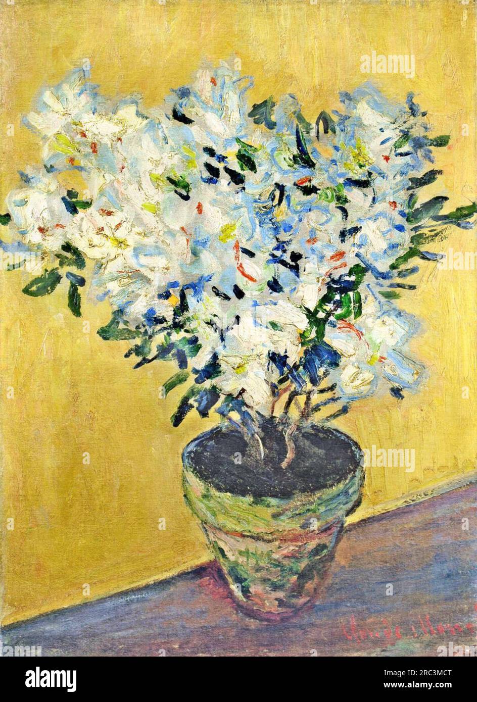White Azaleas in a Pot 1885 by Claude Monet Stock Photo - Alamy