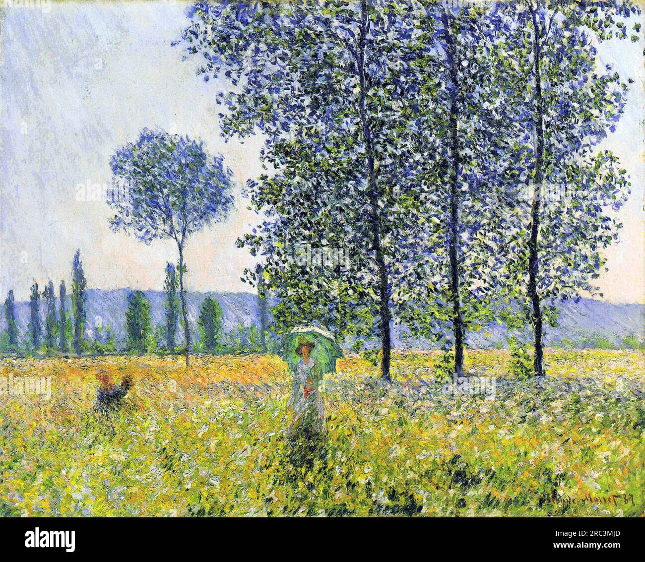 Sunlight Effect under the Poplars 1887 by Claude Monet Stock Photo - Alamy