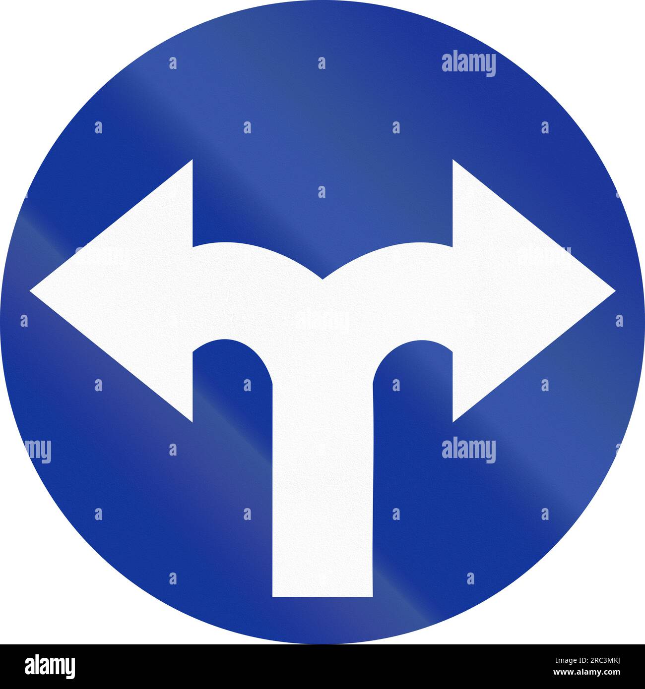 Polish traffic sign: Go left or right Stock Photo - Alamy