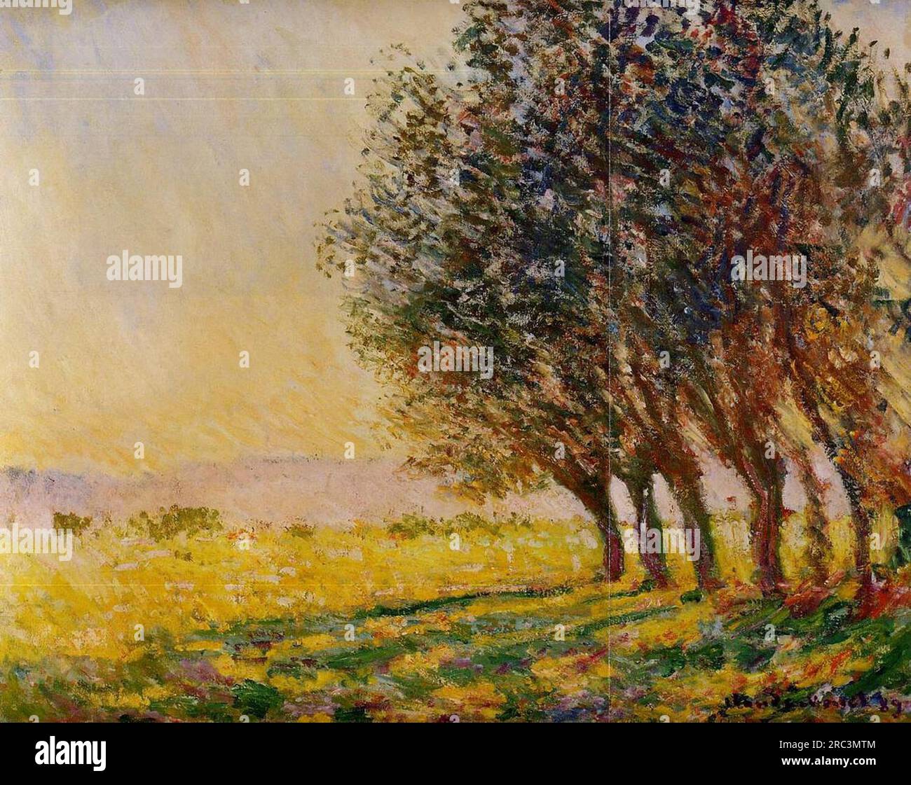 Monet willows hi-res stock photography and images - Alamy