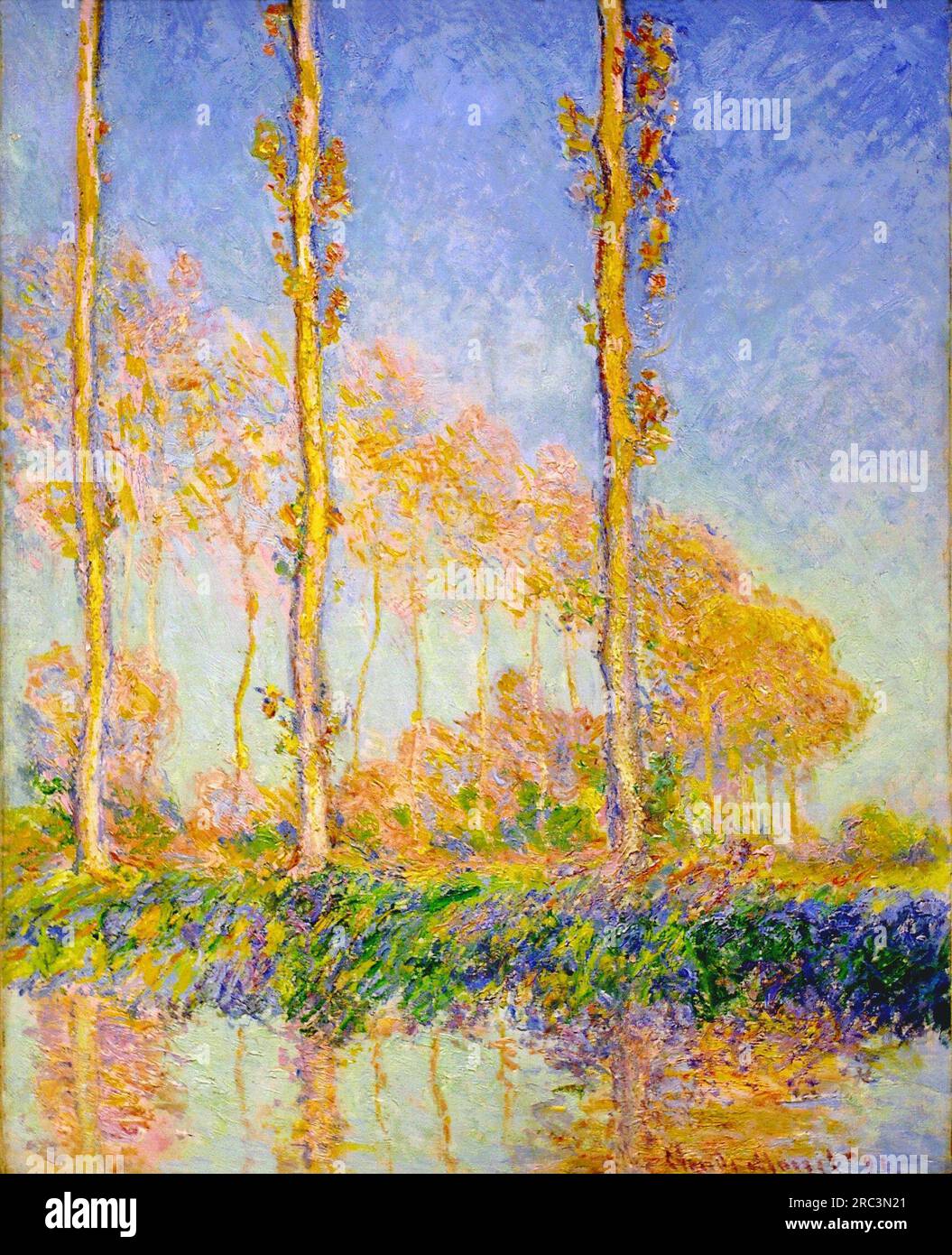 Poplars autumn claude monet hi-res stock photography and images - Alamy