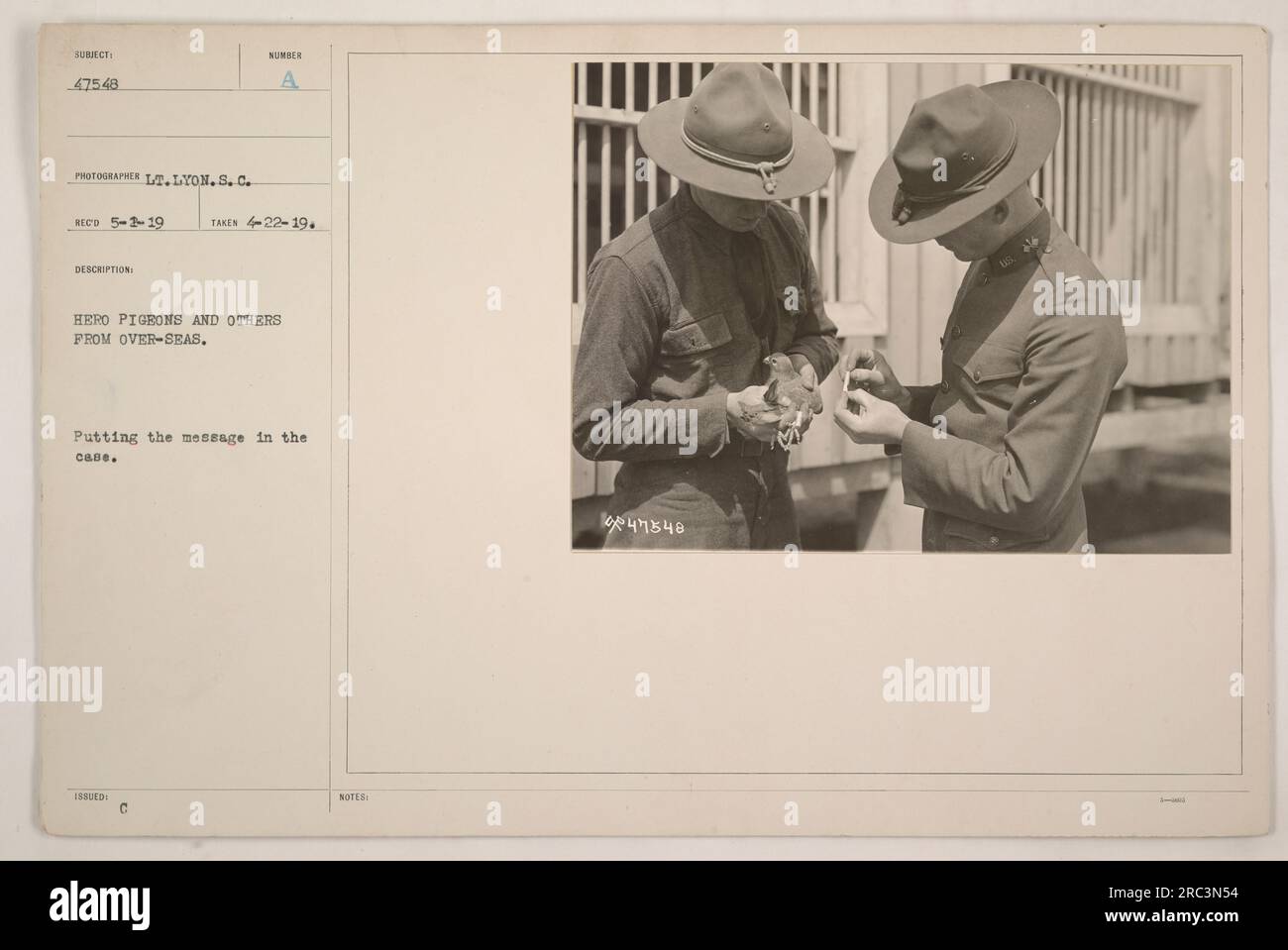 Overseas pigeons hi-res stock photography and images - Alamy