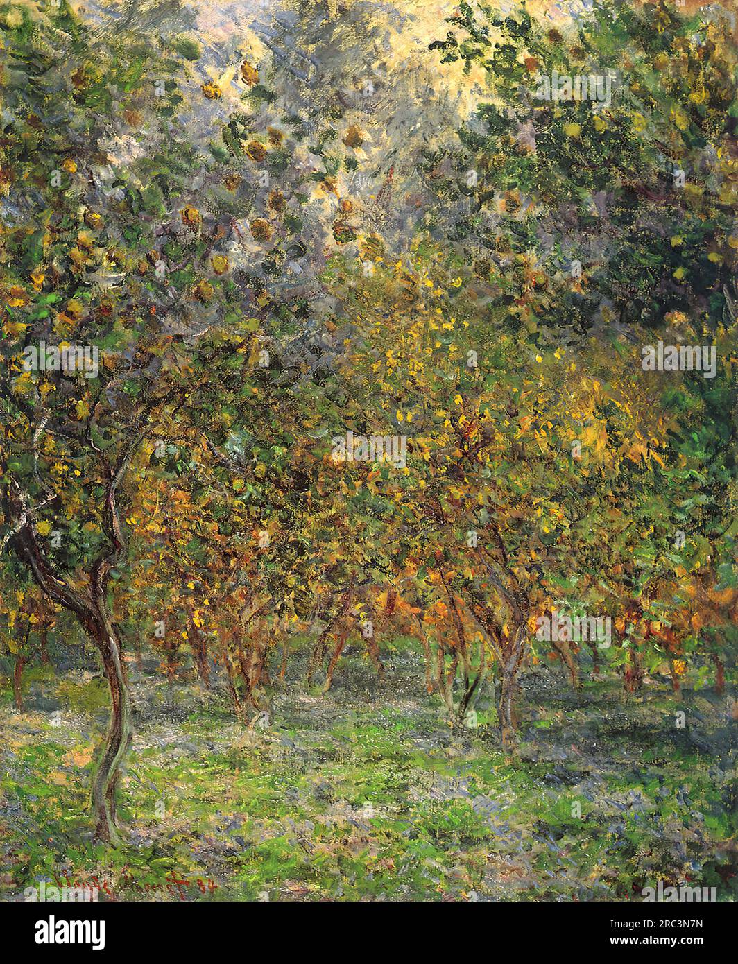 Claude Oscar Monet – Under the Lemon Trees 1884 Stock Photo - Alamy