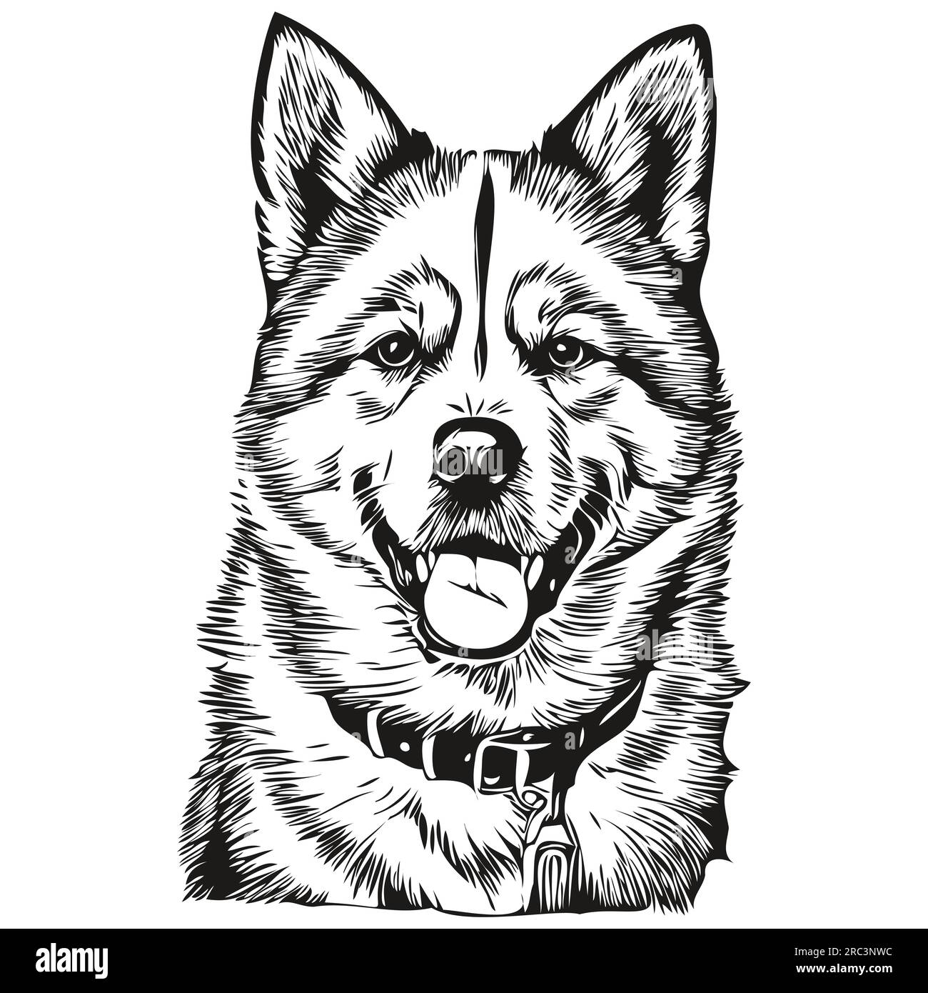 Cartoon breed Cut Out Stock Images & Pictures - Alamy