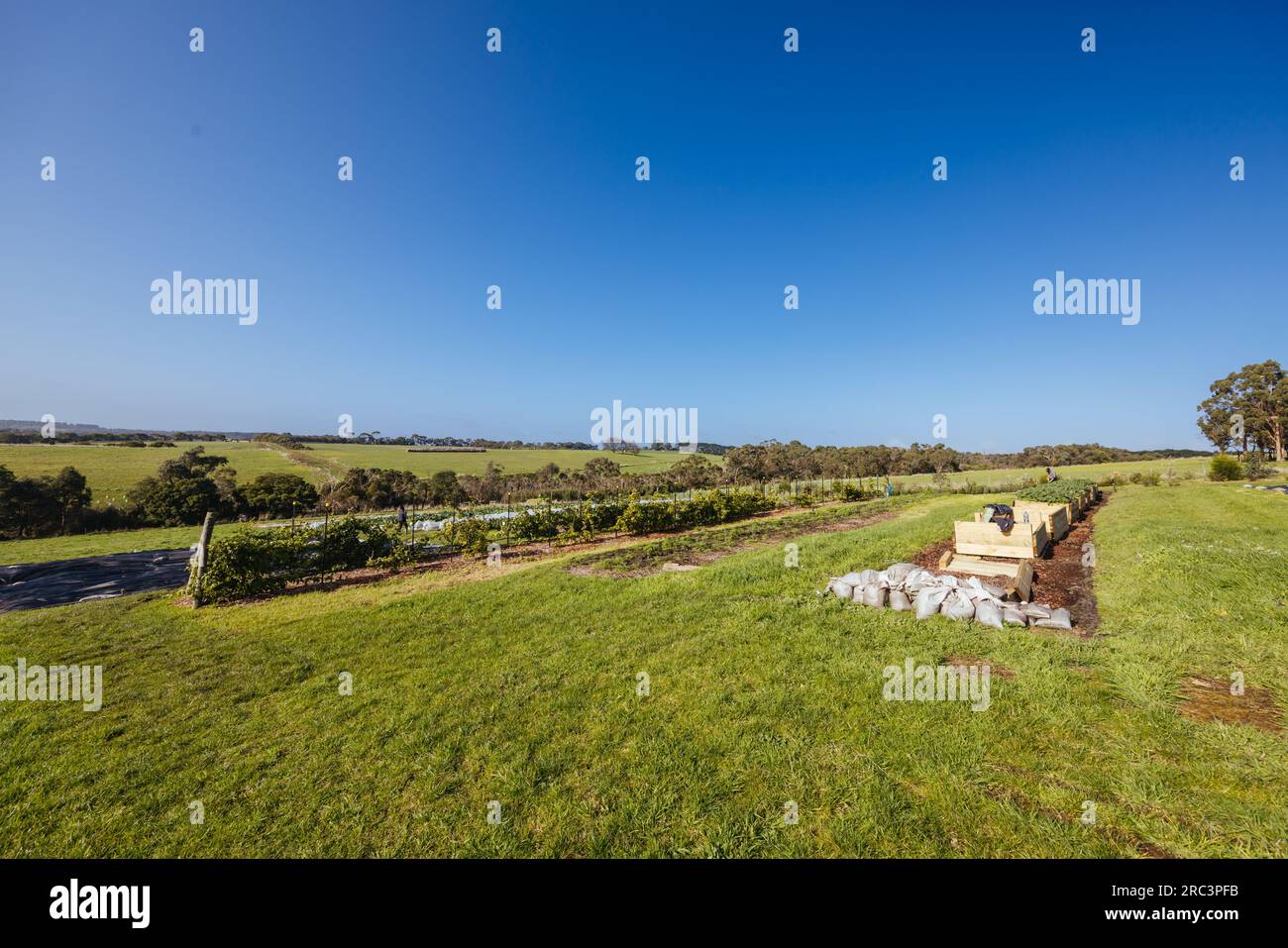 The Briars in Mount Martha Australia Stock Photo - Alamy