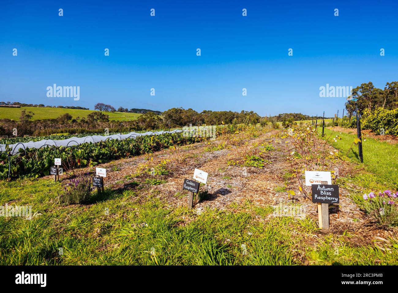 The Briars in Mount Martha Australia Stock Photo - Alamy