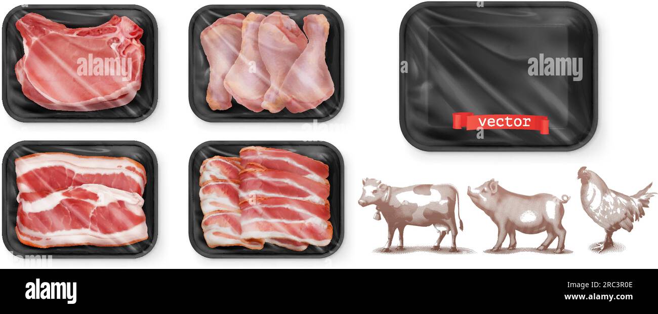 50mb Stock Vector Images - Alamy