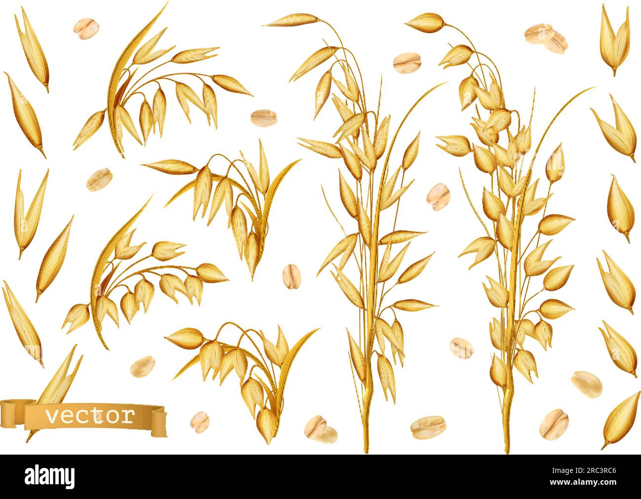 Oat photo Stock Vector Images - Alamy