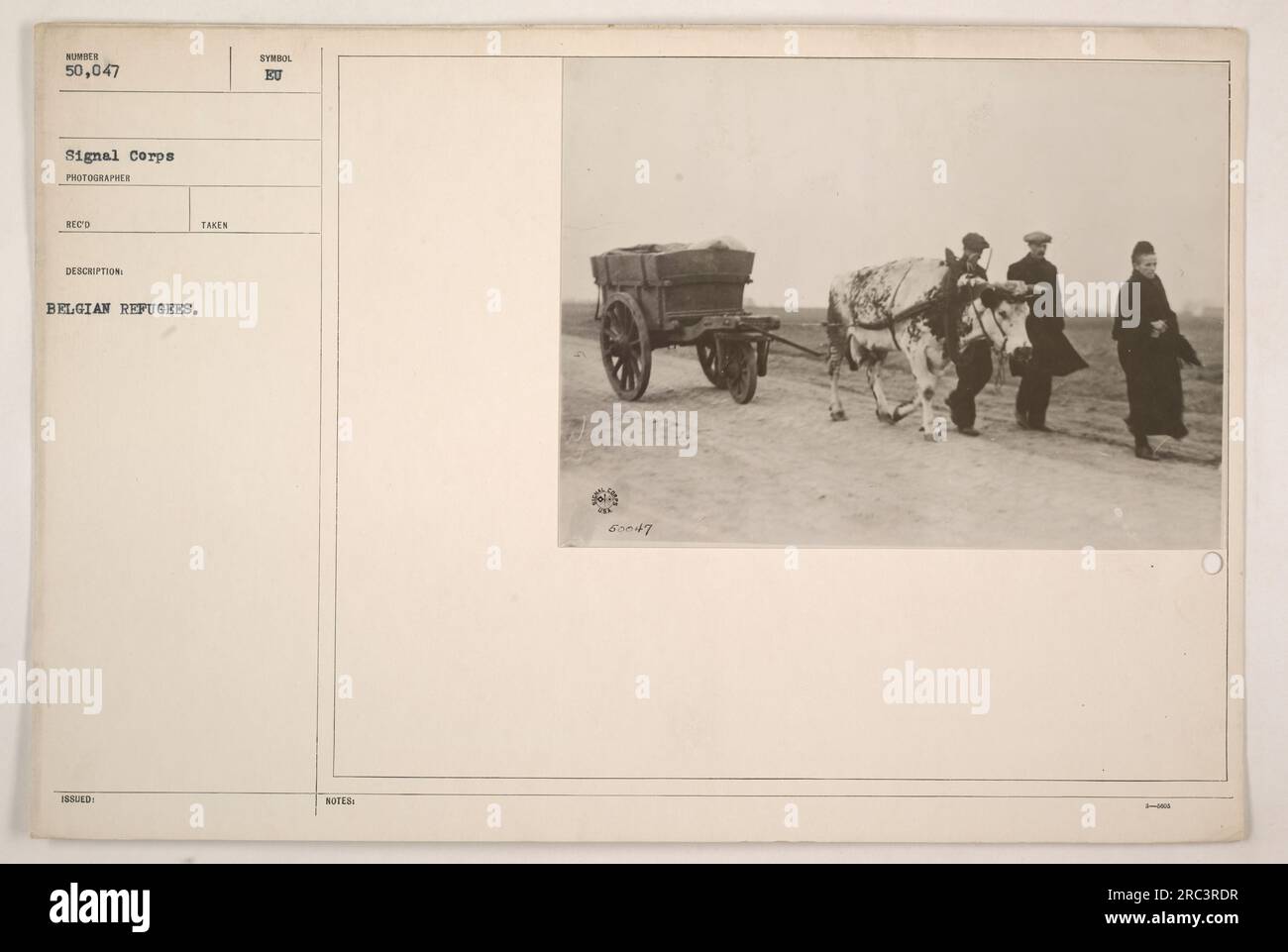 Belgian refugees fleeing their war-torn homeland during World War I ...